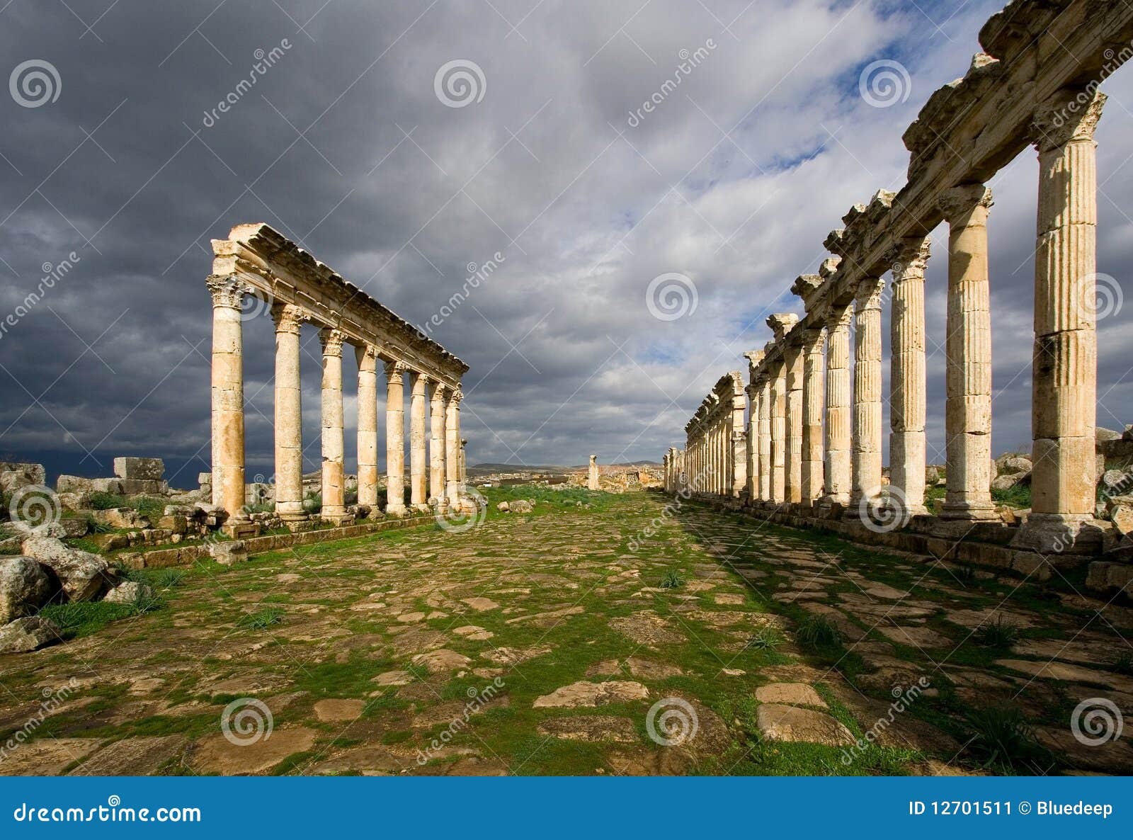 The Colonnaded Street of Apamea Stock Image - Image of column, historic ...
