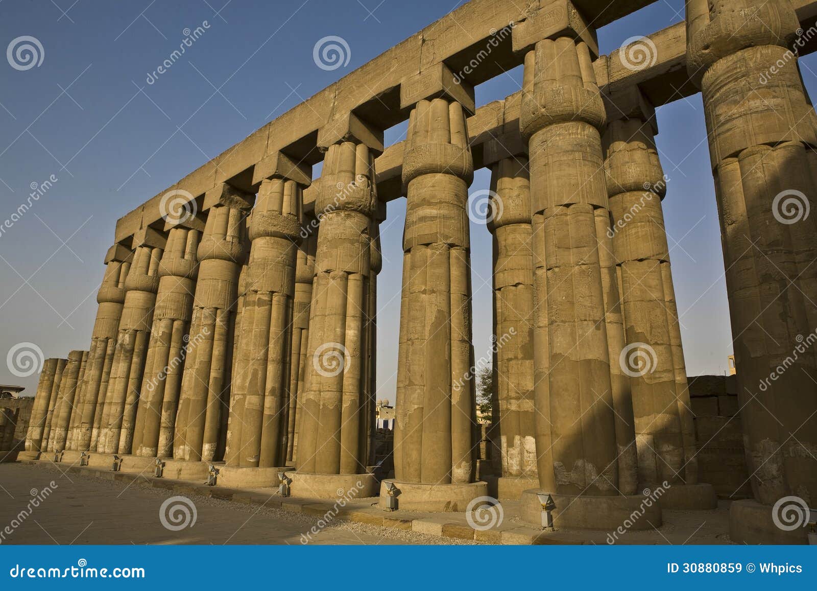 Colonne Al Tempio Di Luxor, Egitto Immagine Stock - Immagine di ...