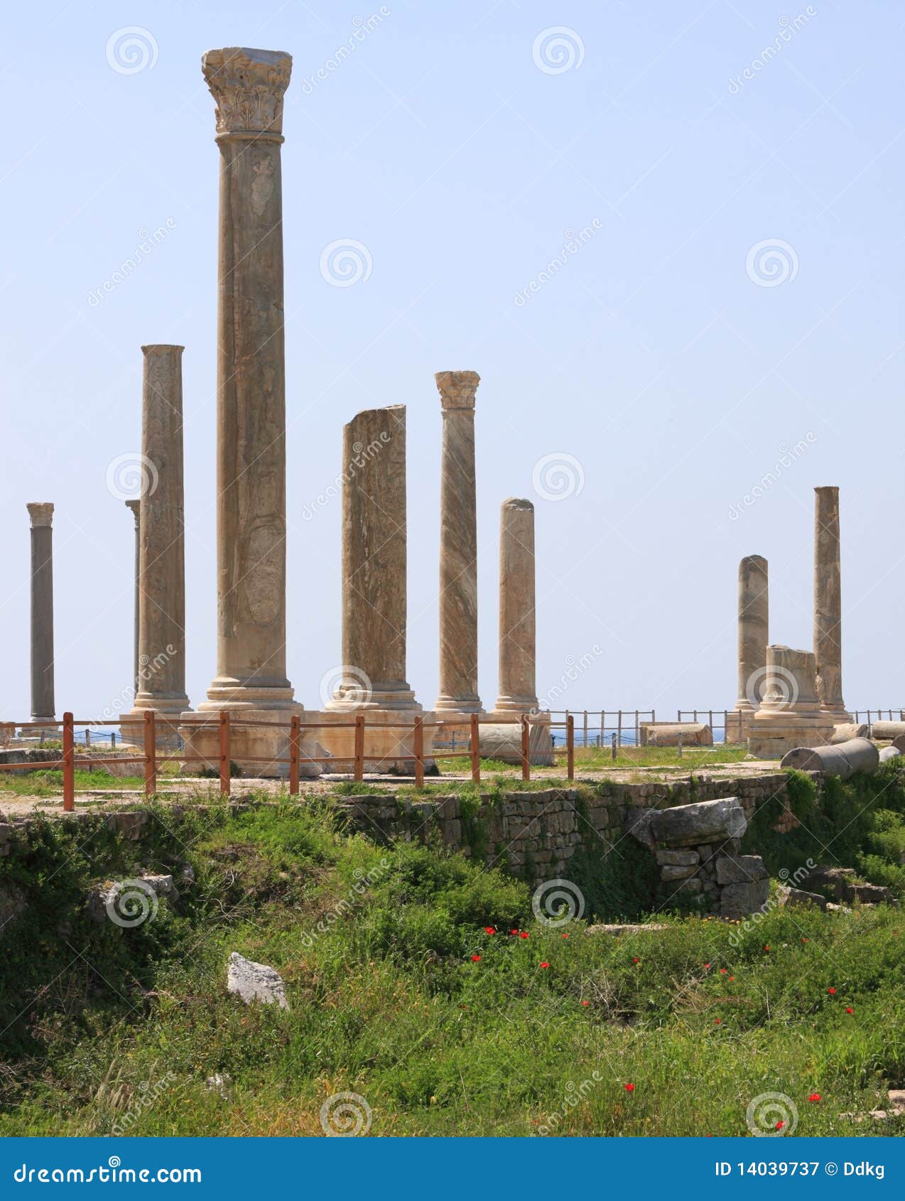 Colonne romane, pneumatico immagine stock. Immagine di acido - 14039737