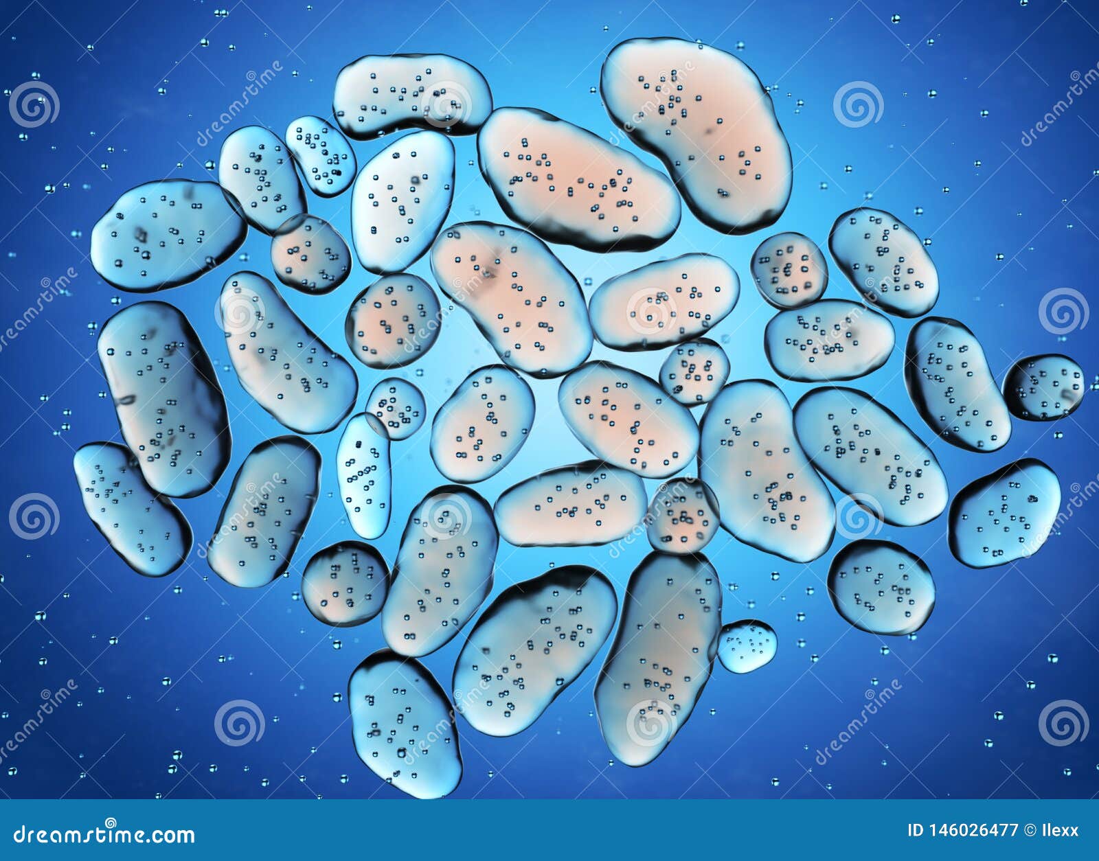 Enterobacter Bacteria, Gram-negative Rod-shaped Bacteria Royalty-Free ...
