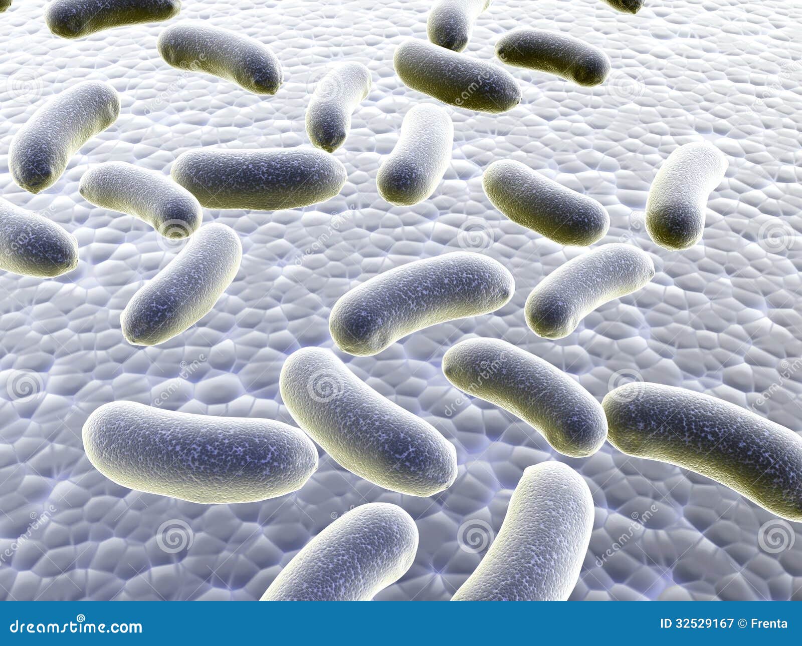 Colony of bacteria stock illustration. Illustration of nocuous - 32529167