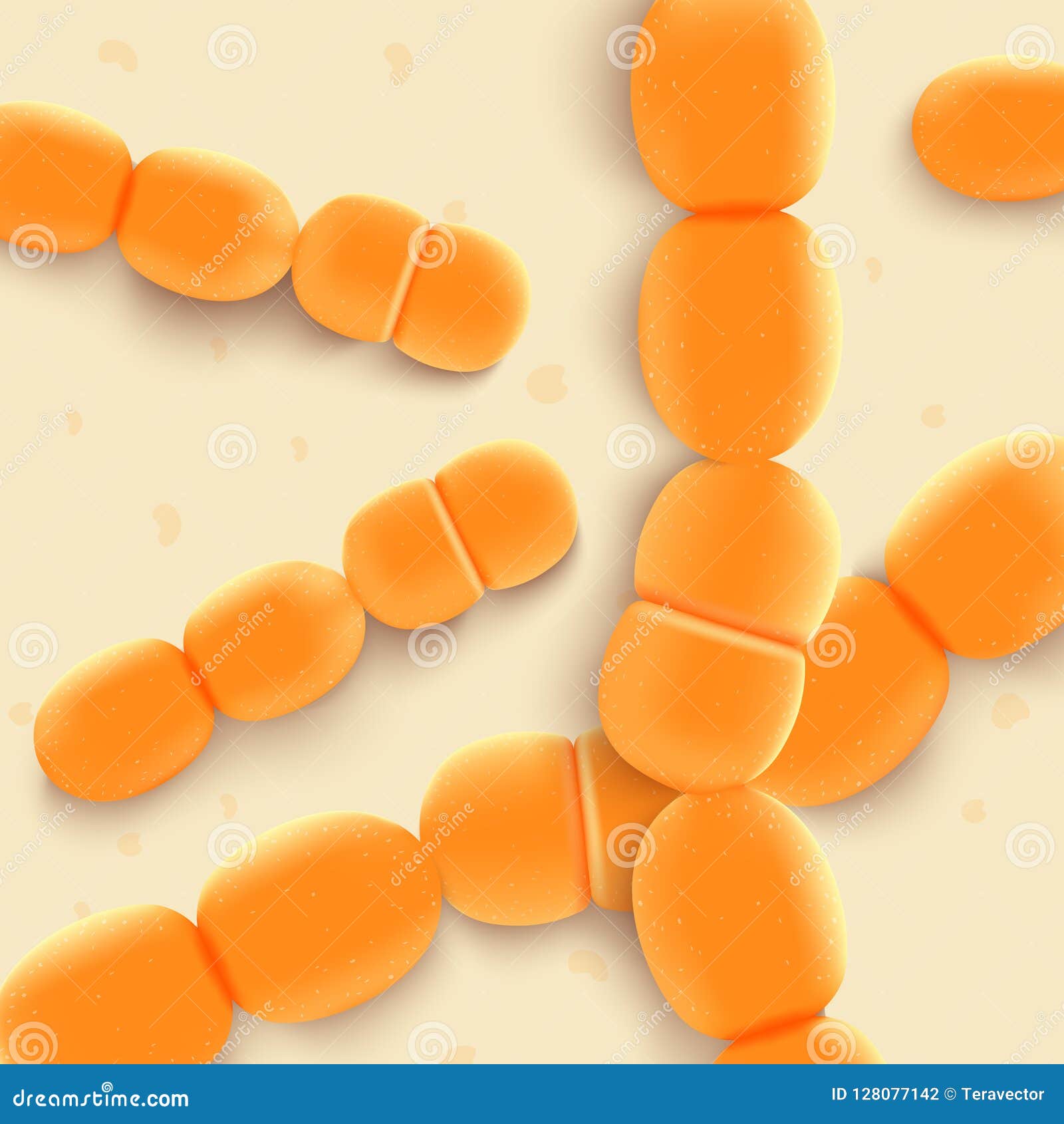 Coliform Bacteria Colony Realistic Vector Stock Vector - Illustration ...