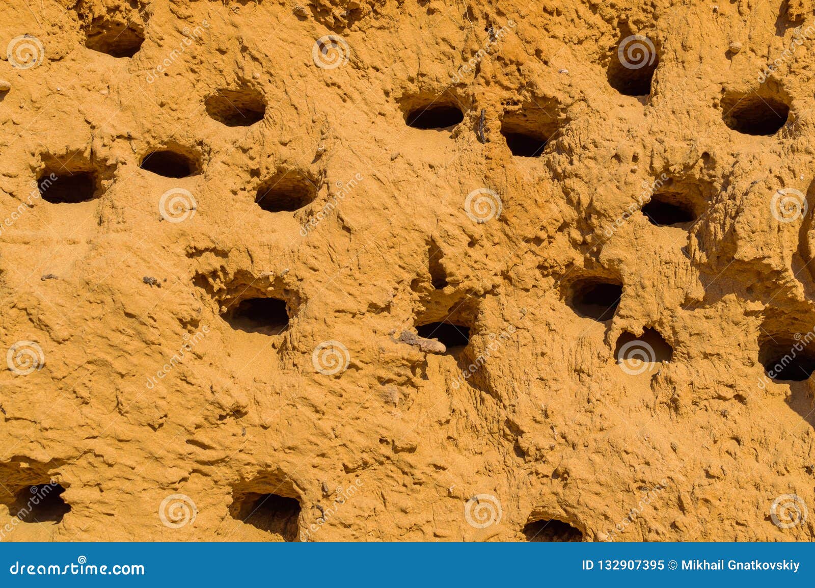 A Colony of Bird Holes in a Sandstone Cliff. Bird Nesting Place Stock ...