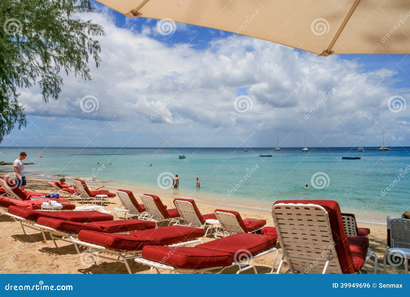 Colony Club in Barbados stock photo. Image of tropical - 39949696
