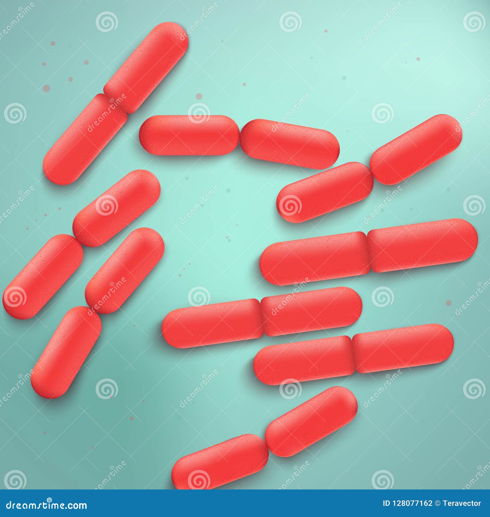 Bulgaricus Bacteria Colony Realistic Vector Stock Vector - Illustration ...