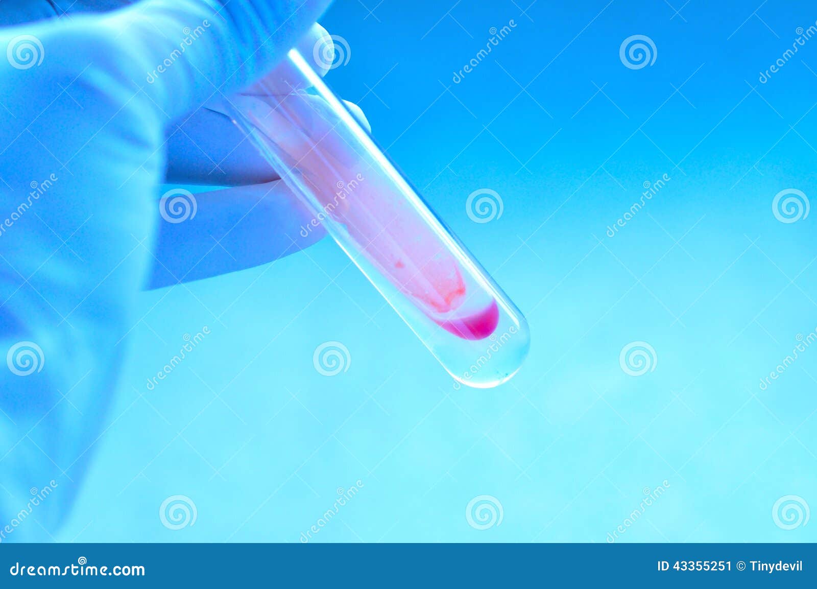 Colony in slant agar stock image. Image of biotechnology - 43355251