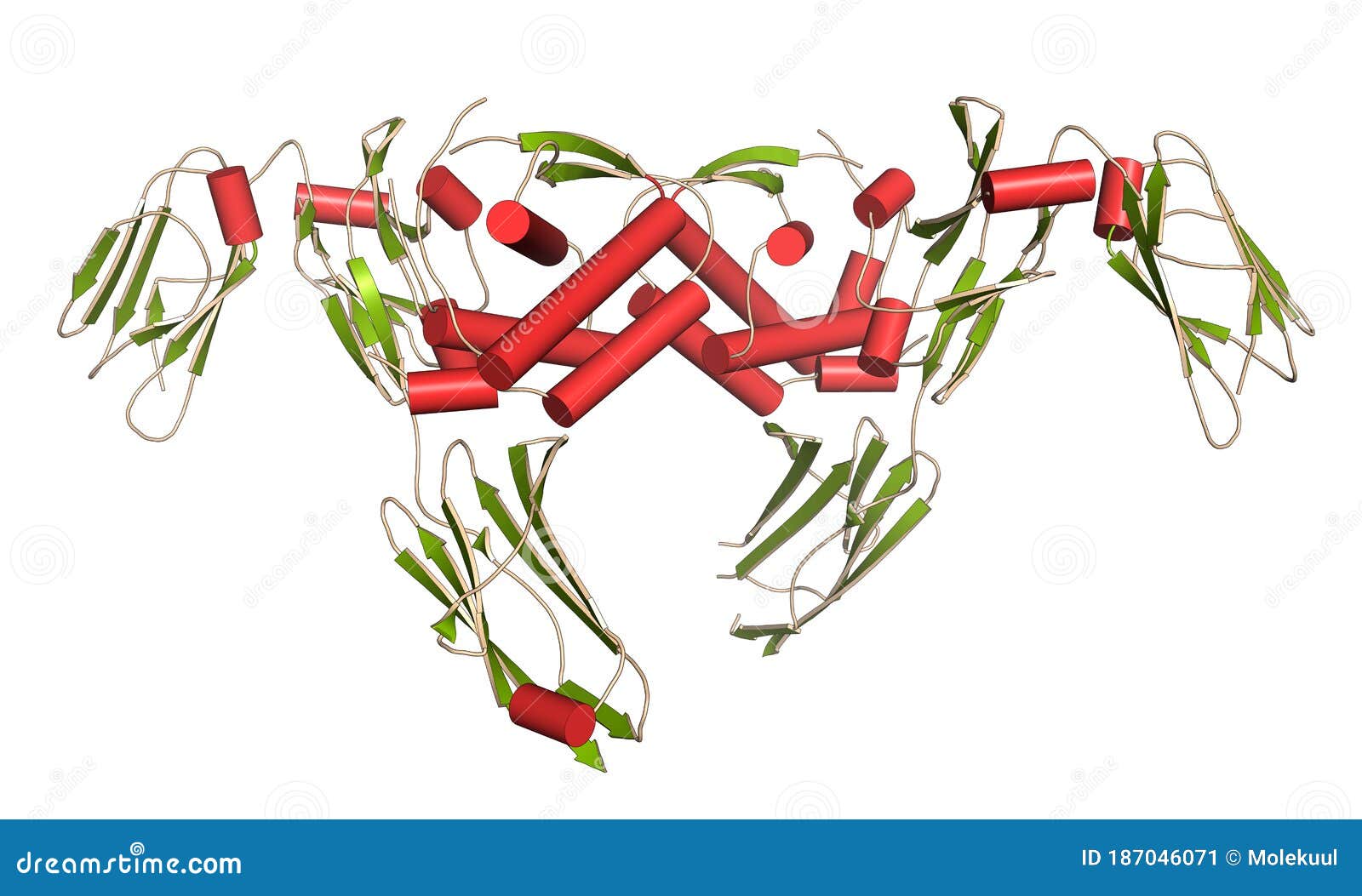 Colony-stimulating Factor 1 (CSF-1) in Complex with Its Receptor, HCSF ...