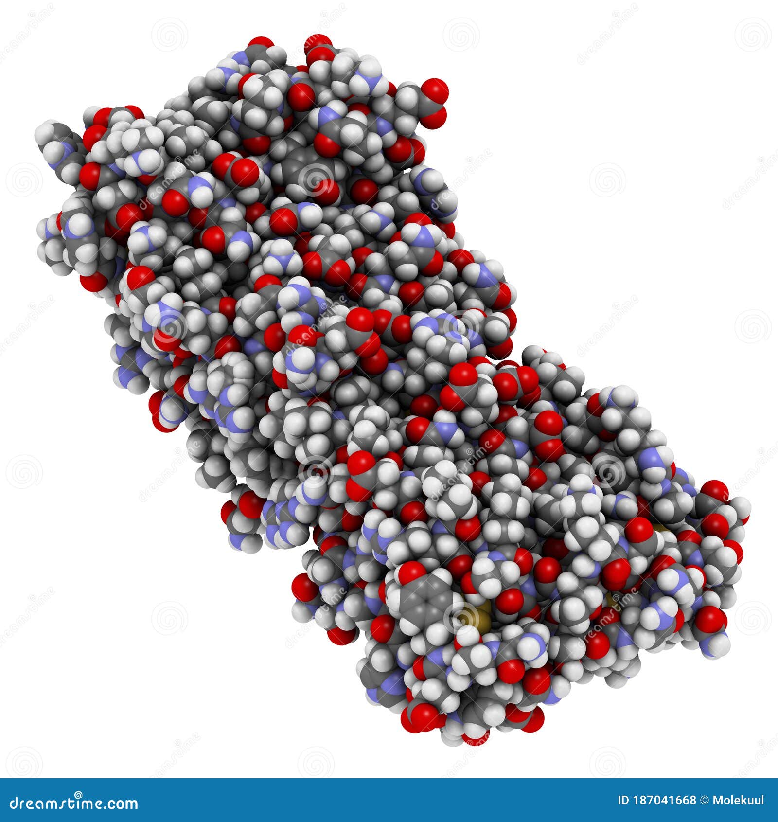 Colony Stimulating Factor 1 (CSF-1, M-CSF). Also Known As Macrophage ...