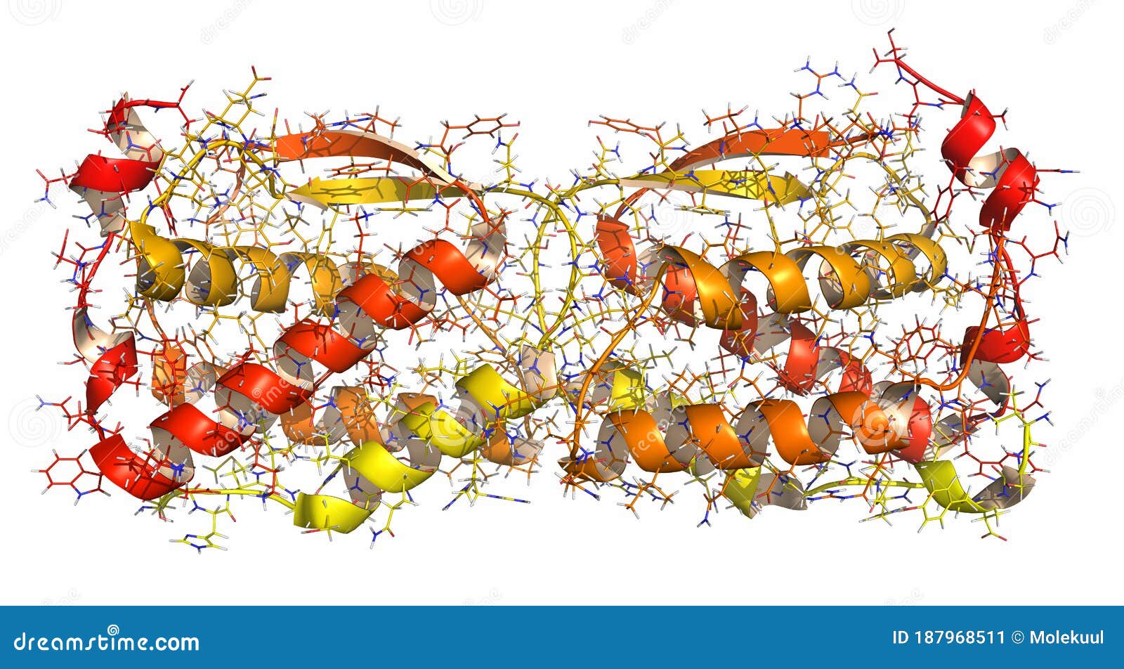 Colony Stimulating Factor 1 CSF-1, M-CSF. Also Known As Macrophage ...