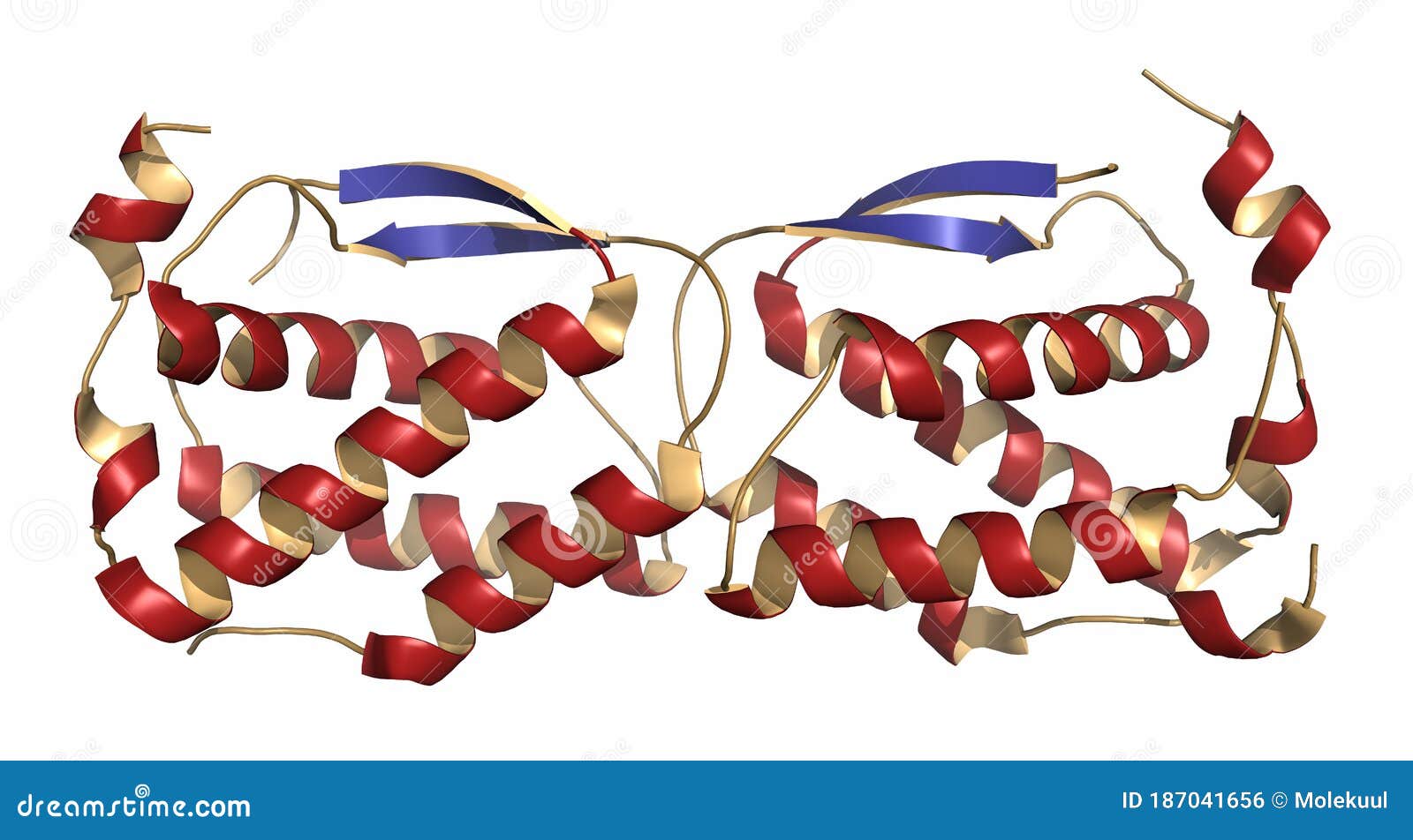 Colony Stimulating Factor 1 CSF-1, M-CSF. Also Known As Macrophage ...