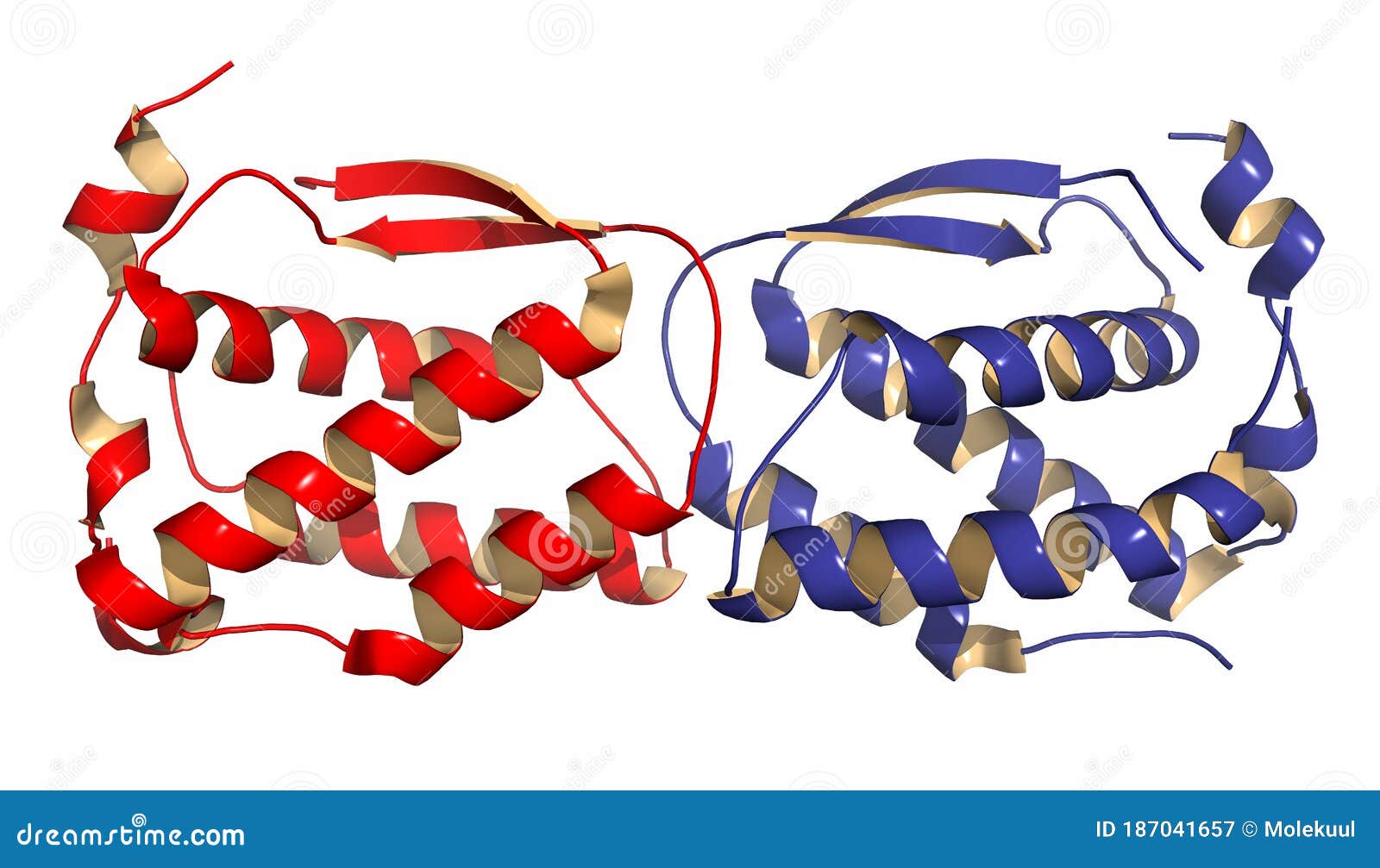 Colony Stimulating Factor 1 (CSF-1, M-CSF). Also Known As Macrophage ...