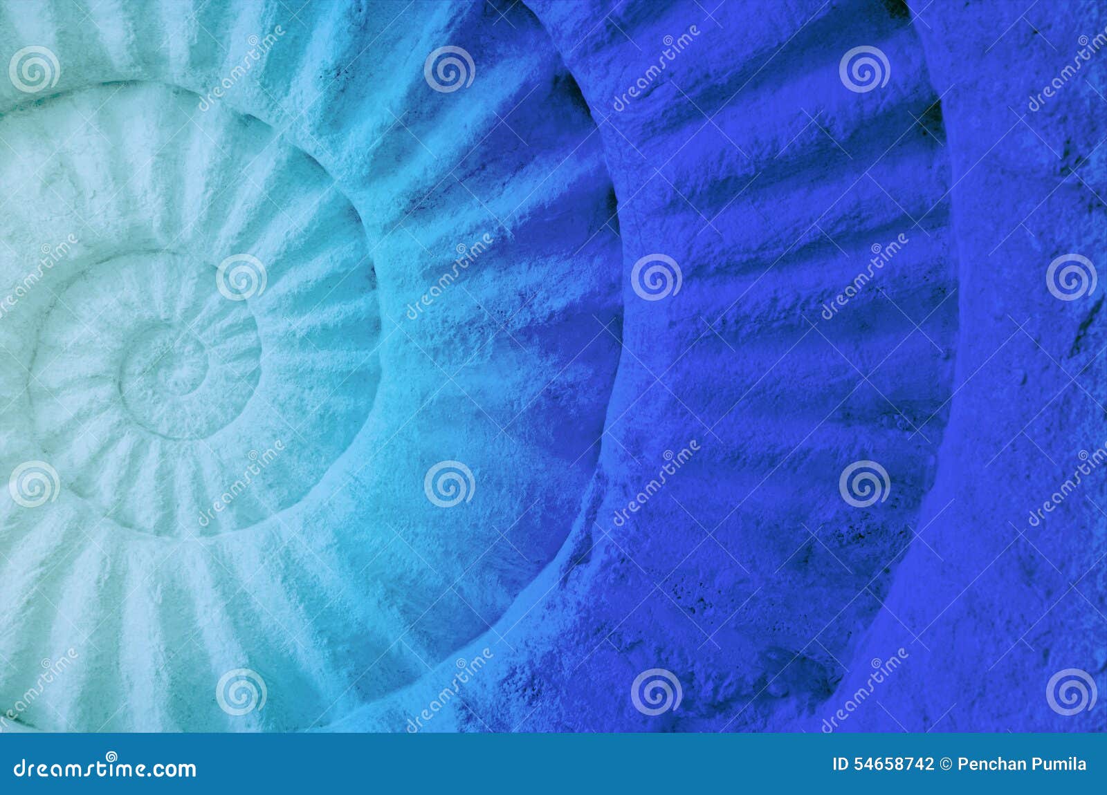 Color of Ammonite Prehistoric Fossil. Stock Photo - Image of ammonite ...