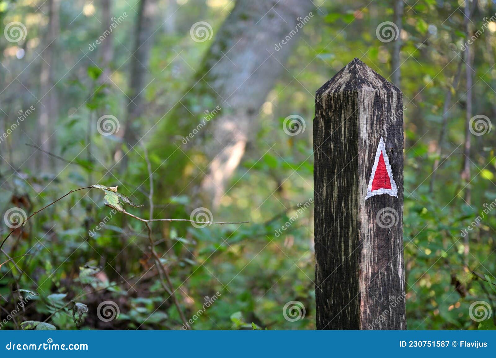 Color Arrow, Direction Sign on the Trail Path Stock Image - Image of ...
