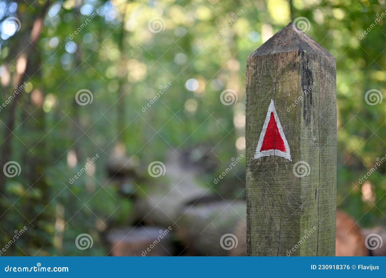 Color Arrow, Direction Sign on the Trail Path Stock Photo - Image of ...