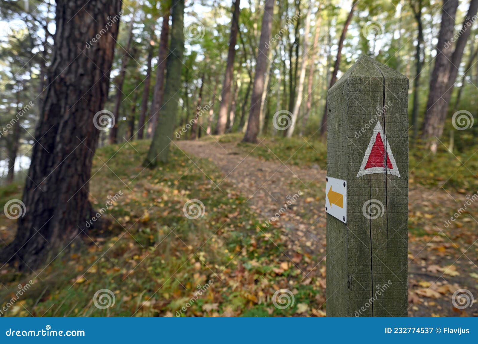 Color Arrow, Direction Sign on the Trail Path Stock Image - Image of ...