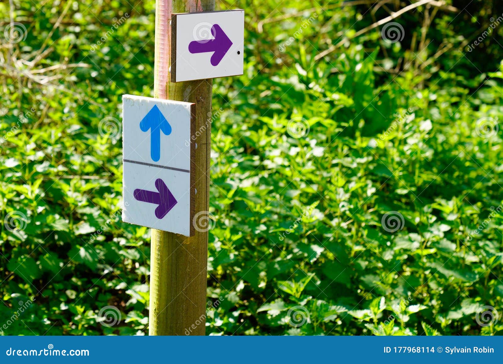 Marking Markup Arrow For Tourist Route Hiking Trail Path Sign In Forest ...