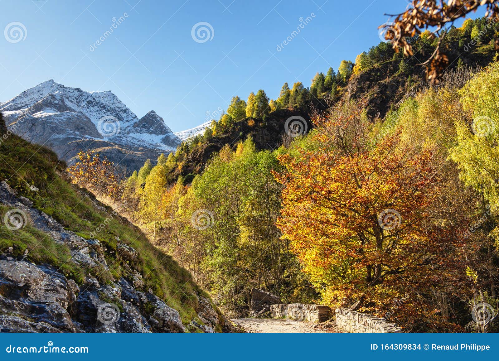 Color of Autumn at the Mountain French Pyrenees Stock Photo - Image of ...
