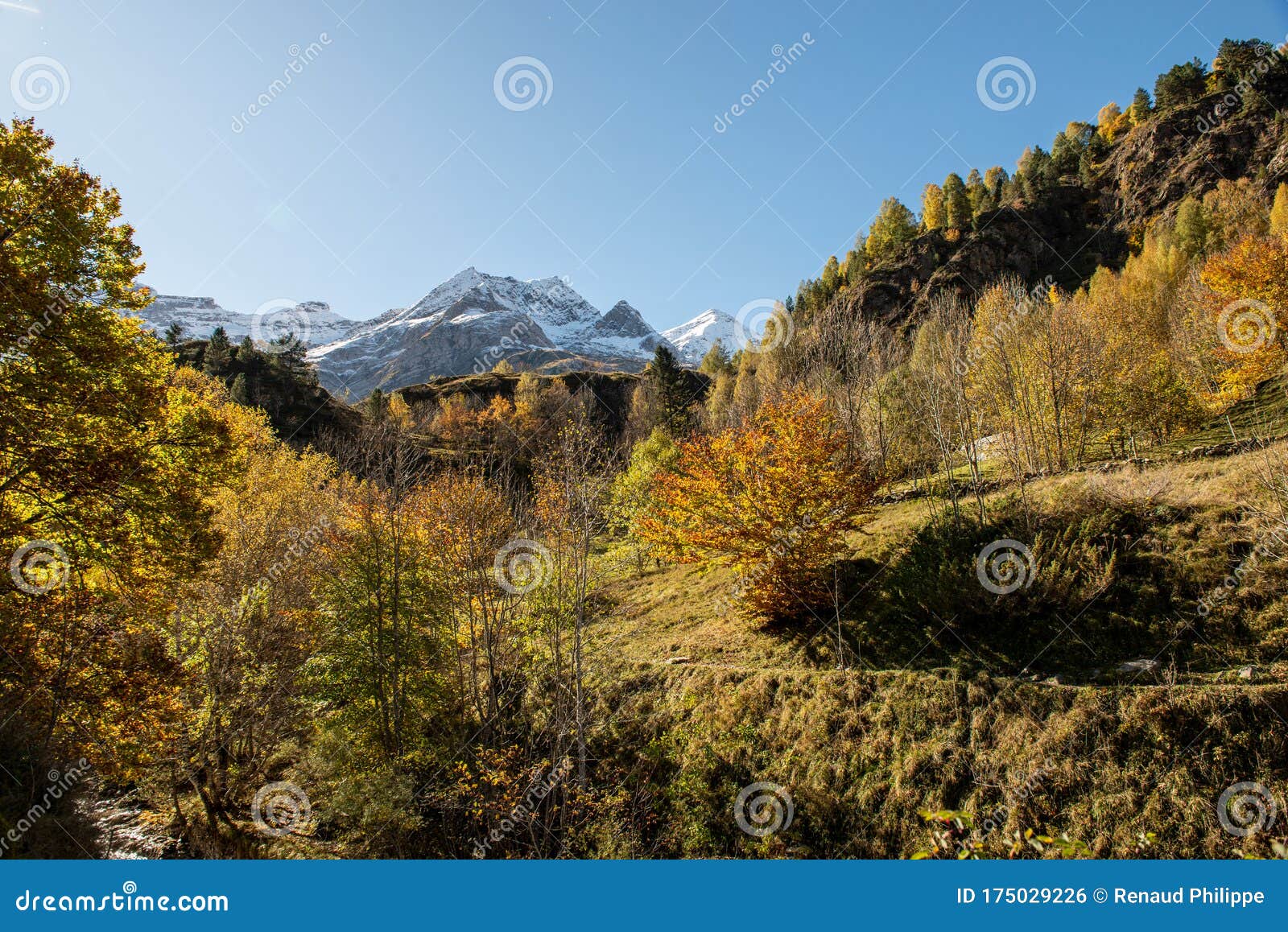Color of Autumn at the Pyrenees Mountains Stock Photo - Image of peak ...
