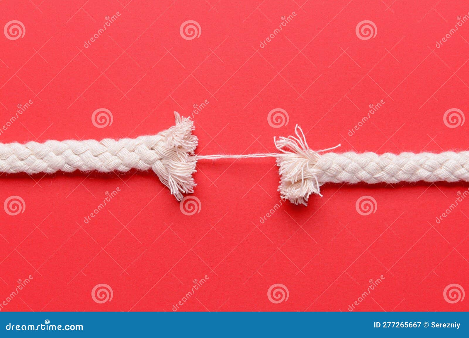 Breaking Rope on Color Background Stock Image - Image of release ...