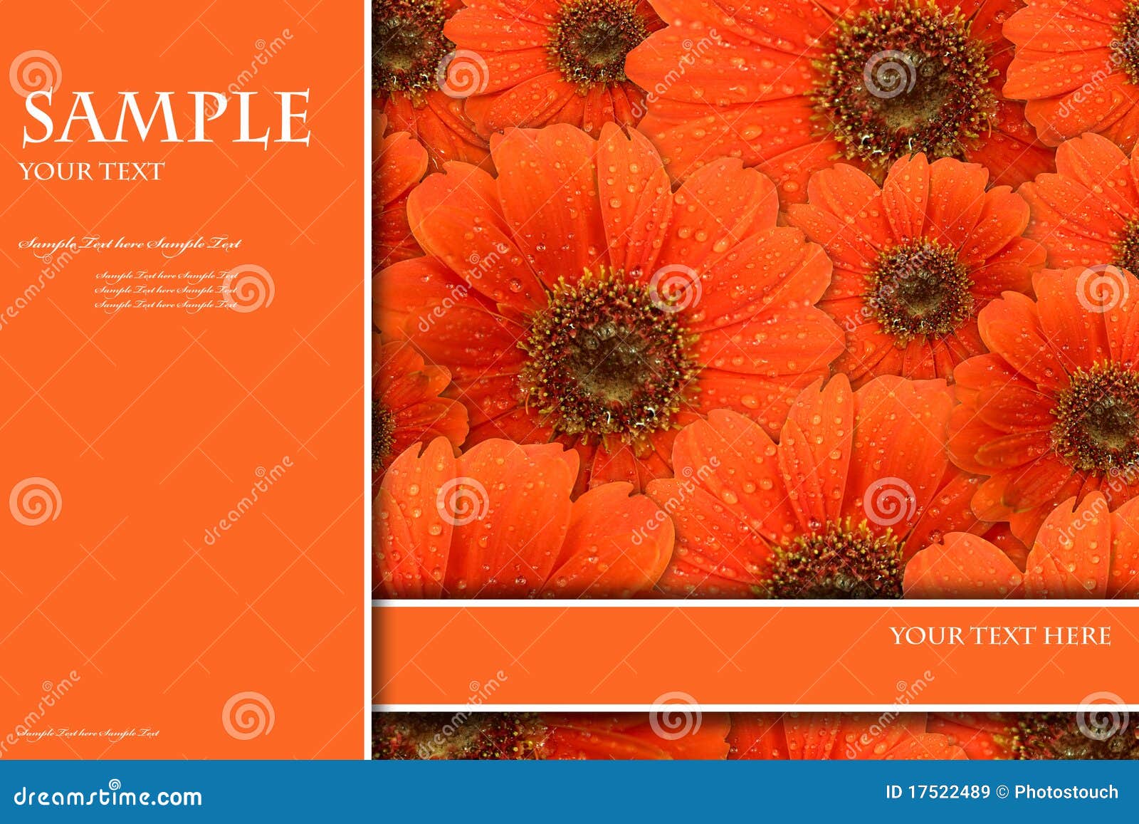 Color Background for Card or Book Cover Stock Illustration ...