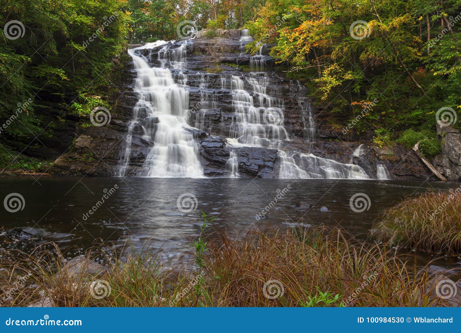 Color at Barberville Falls stock photo. Image of christmas - 100984530