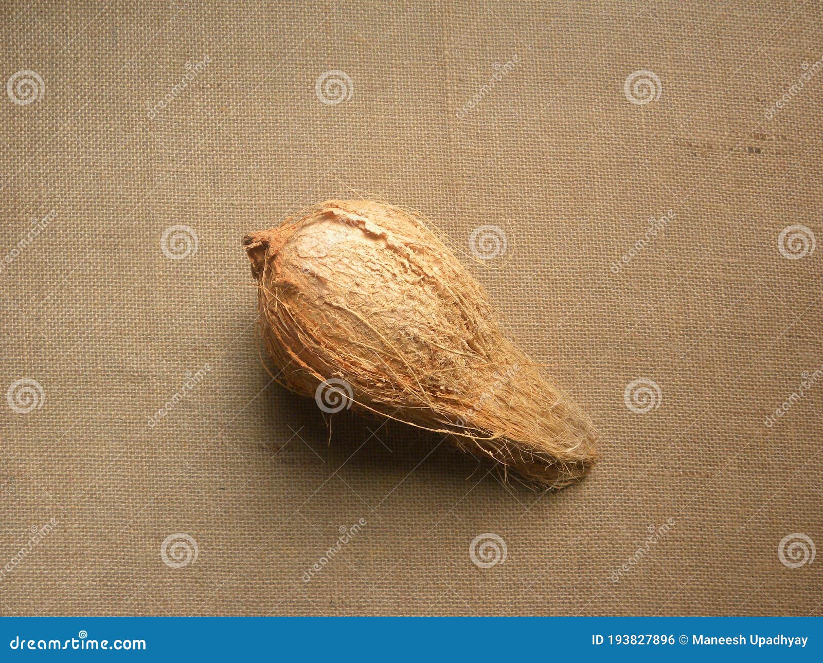 Color beige coco crudo foto de archivo. Imagen de cocos - 193827896