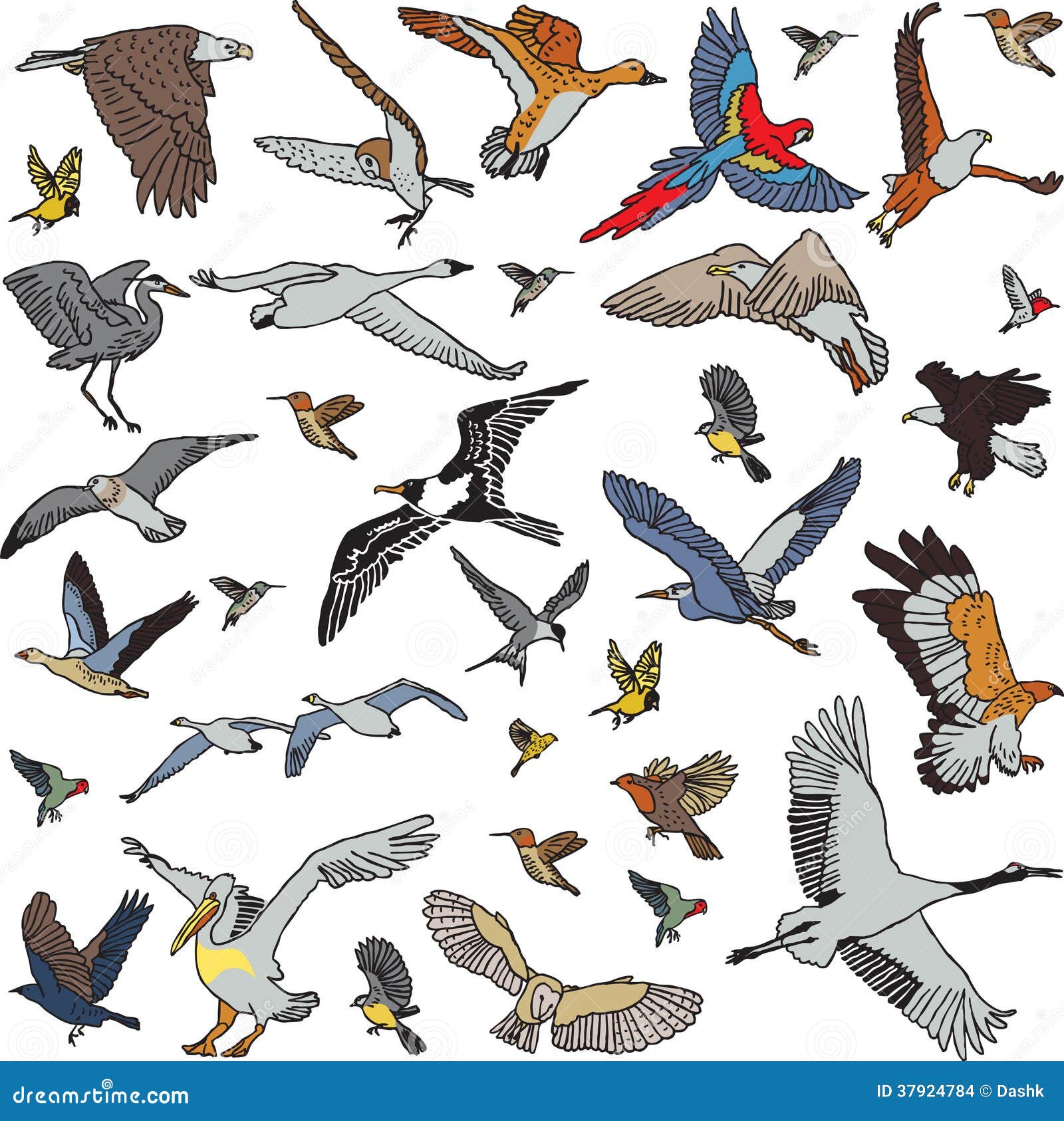Color Birds Set Seamless Pattern Stock Images - Image: 37924784