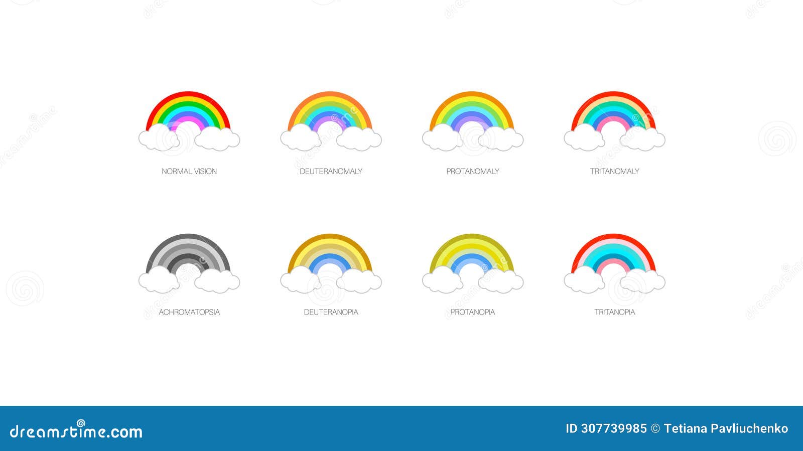 Color Blindness Poster Cartoon Vector | CartoonDealer.com #307739985