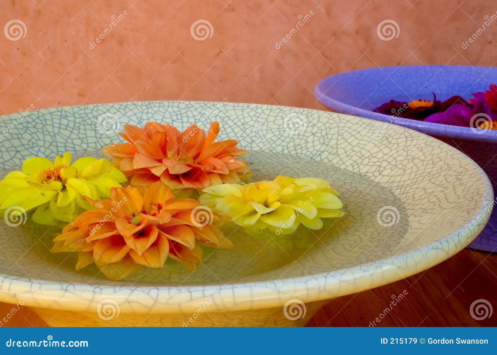 Color Bowl Picture. Image: 215179