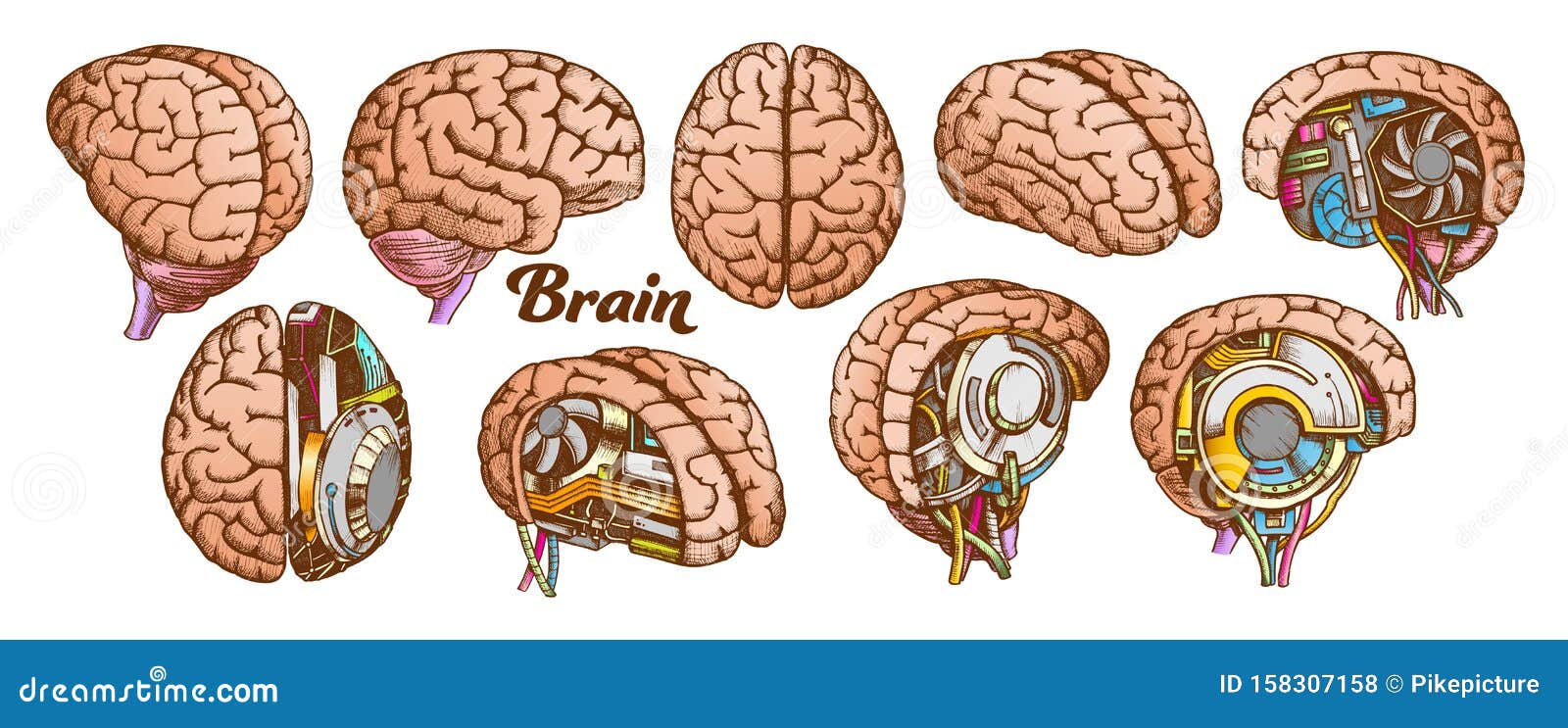 Cyber Neurology Icon. Neural Network Linear Symbol Vector Illustration ... Cyber Neurology Icon. Neural Network Linear Symbol Vector Illustration ...