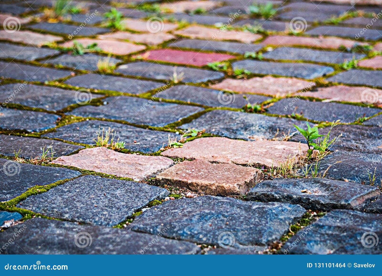 Color Bright Pavement with Green Grass Stock Photo - Image of grass ...