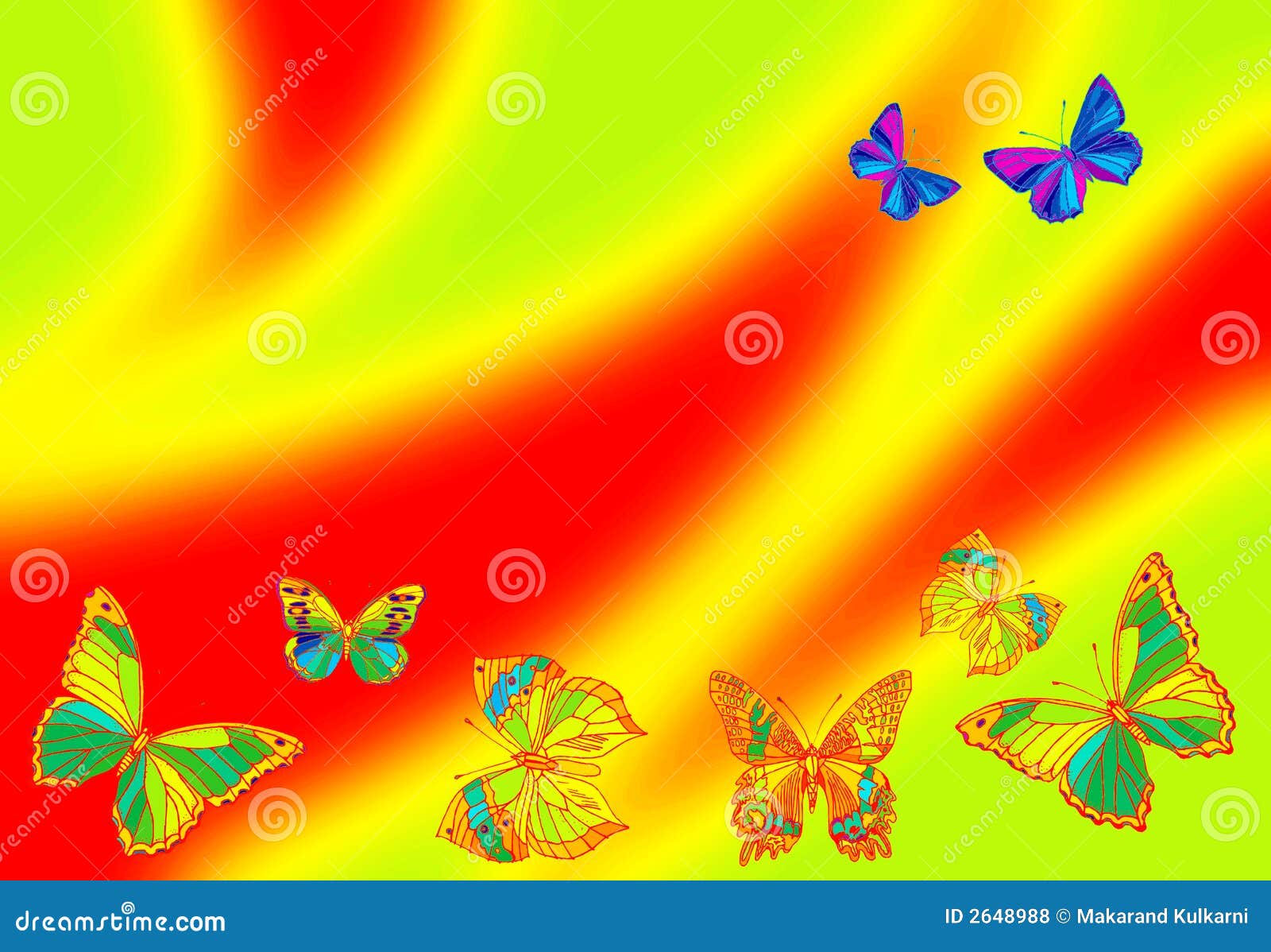 Color Butterfly Picture. Image: 2648988