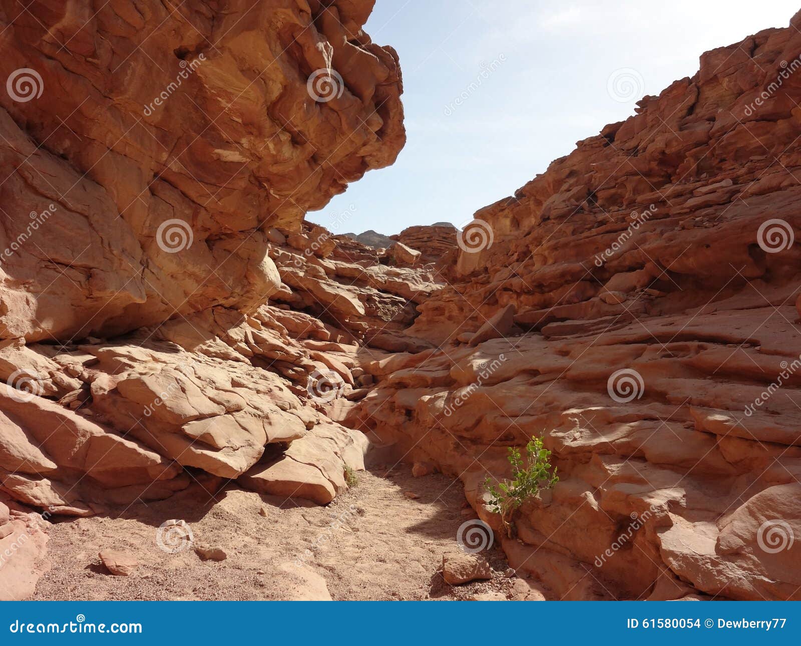 Color canyon in Egypt stock photo. Image of desert, hike - 61580054