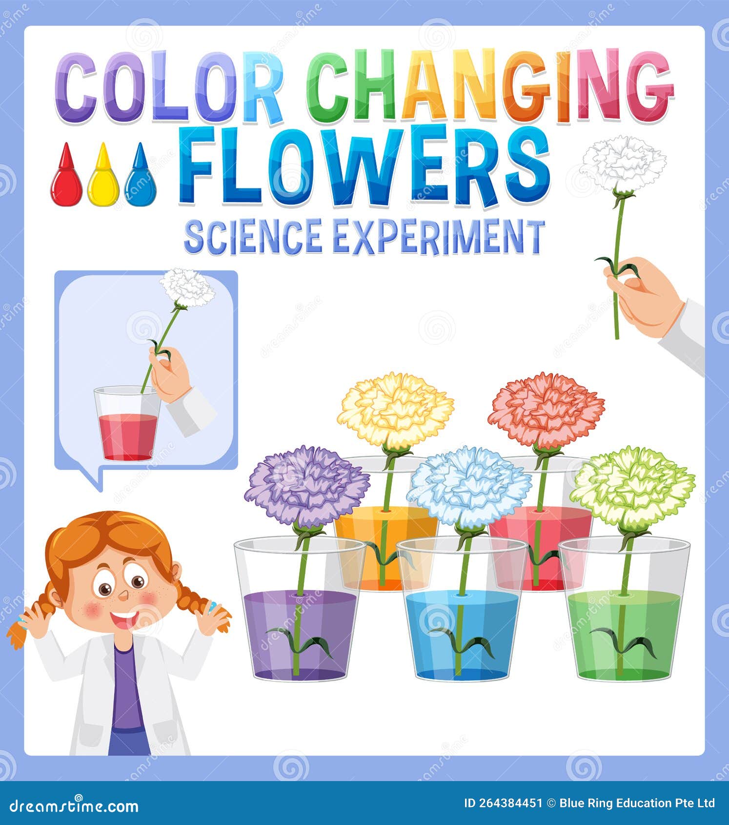 Color Changing Flowers Science Experiment Stock Vector - Illustration ...