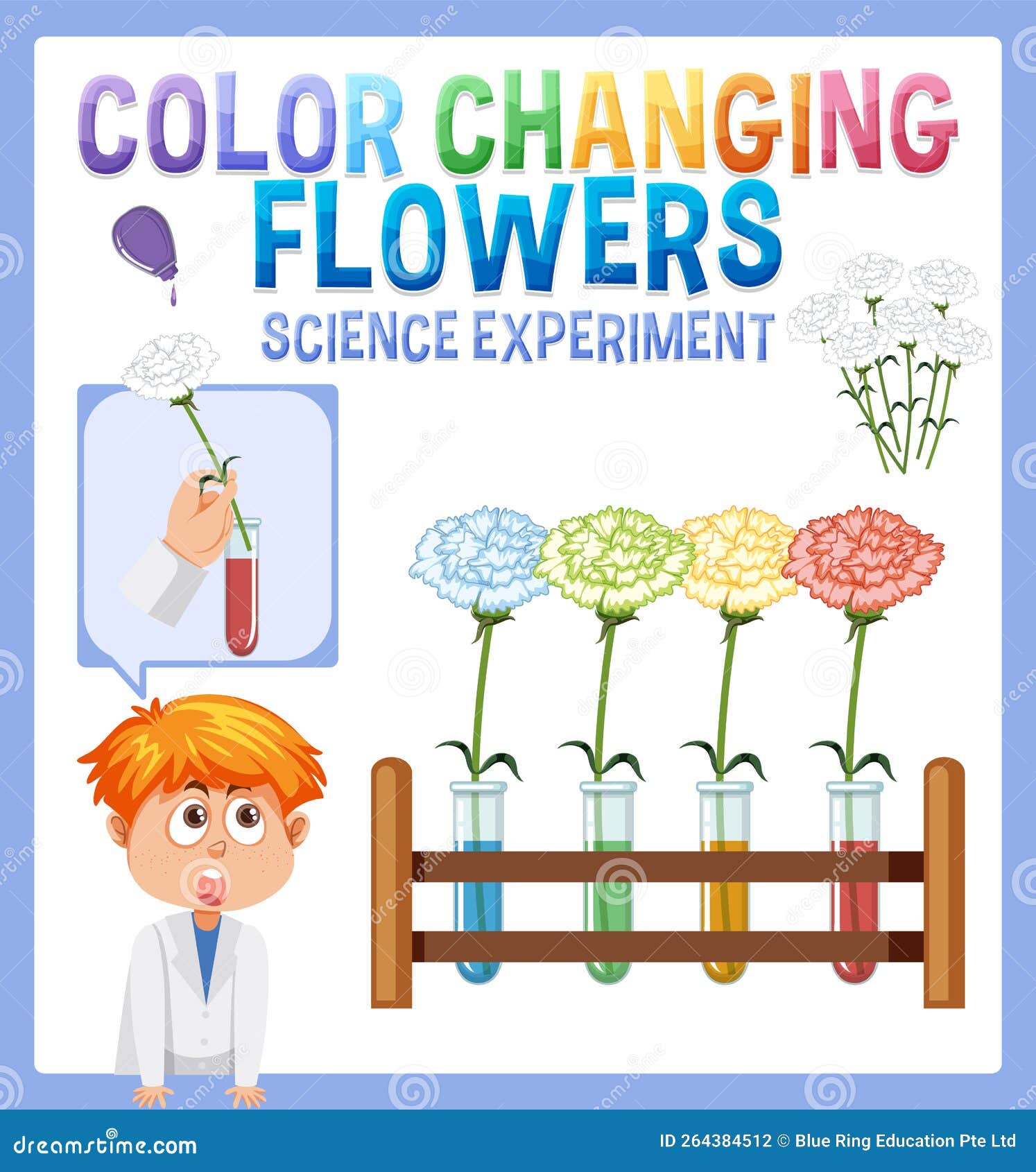 Color Changing Flowers Science Experiment Stock Vector - Illustration ...