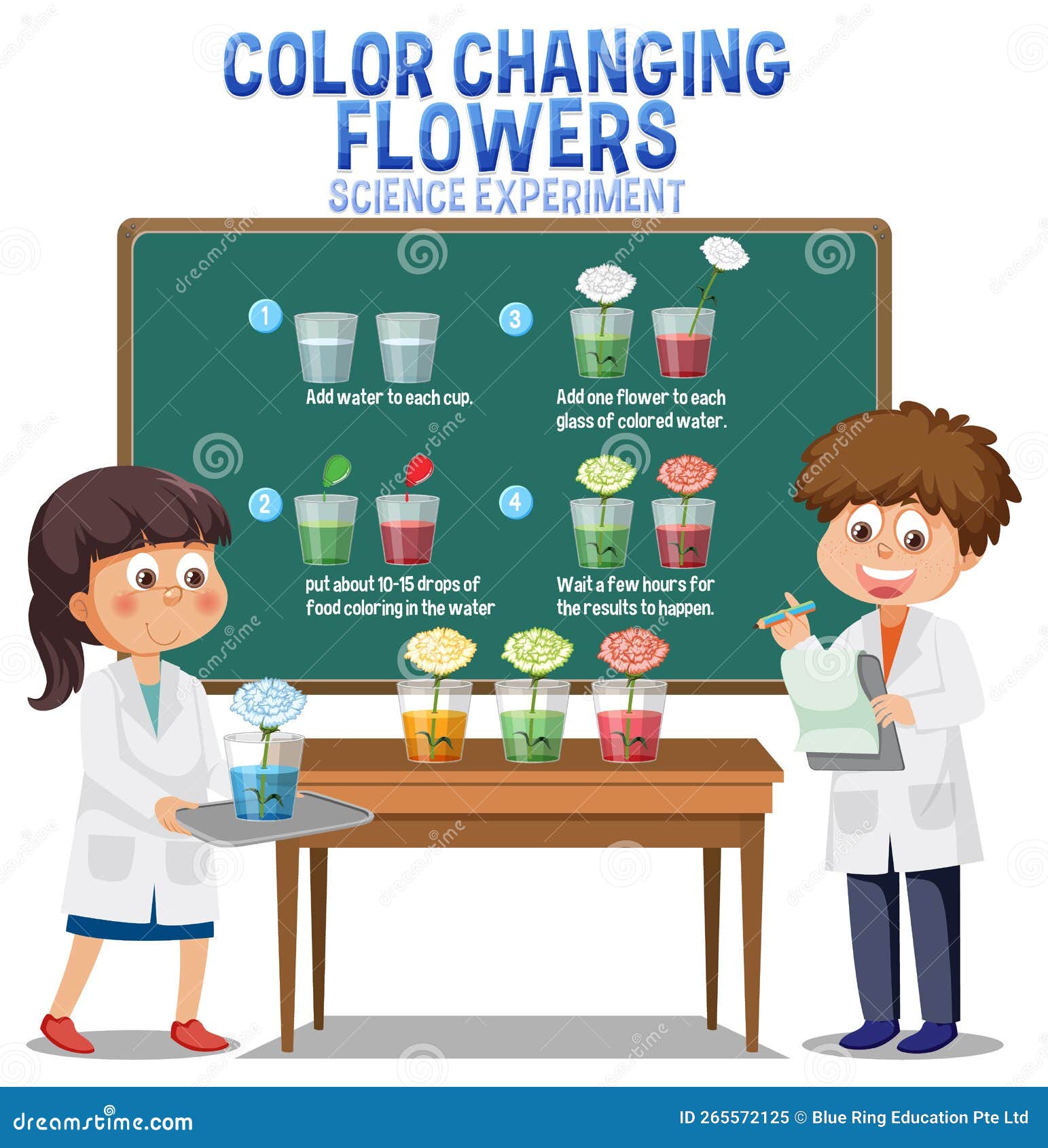 Color Changing Flowers Science Experiment Stock Vector - Illustration ...
