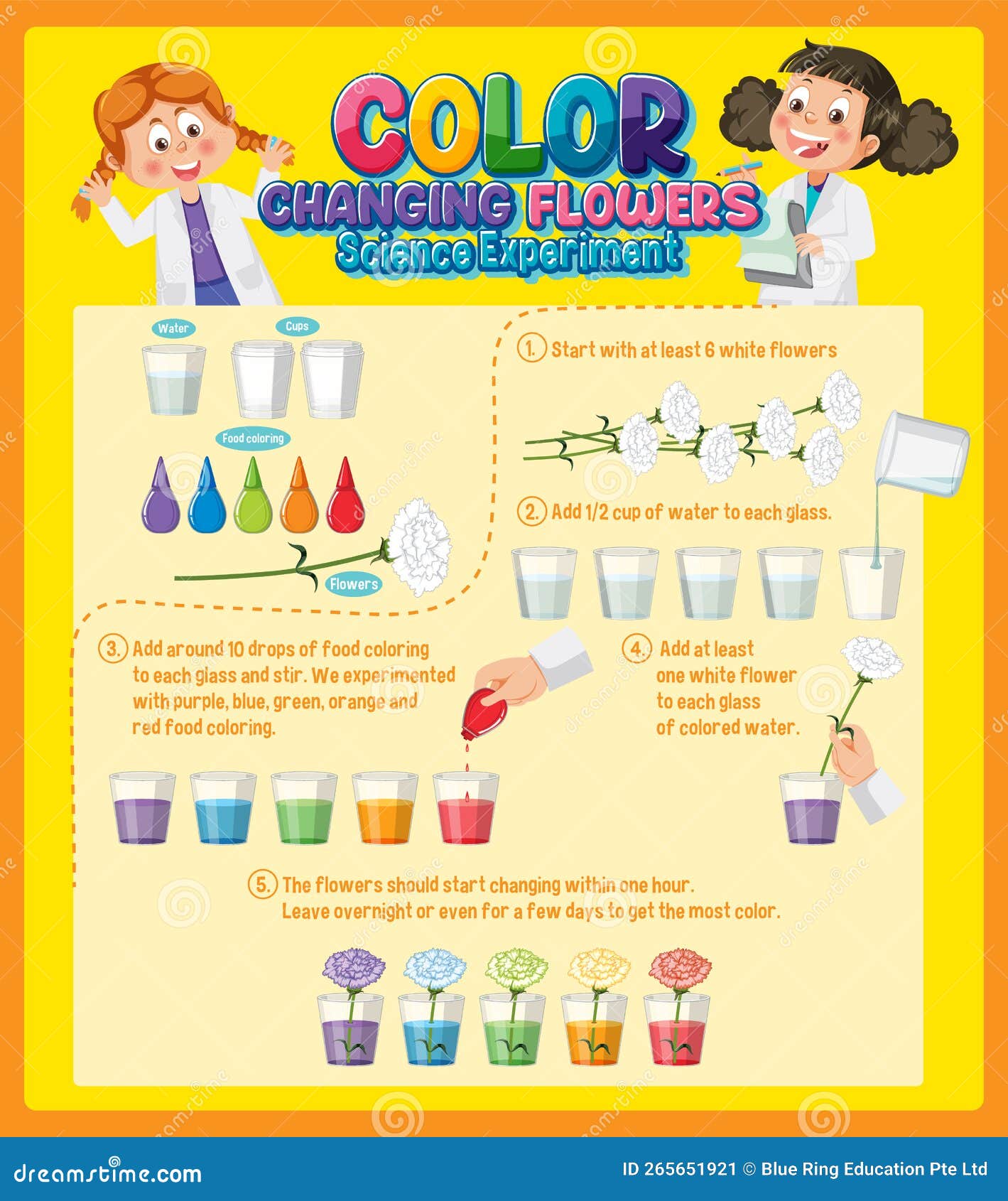 Color Changing Flowers Science Experiment Stock Vector - Illustration ...