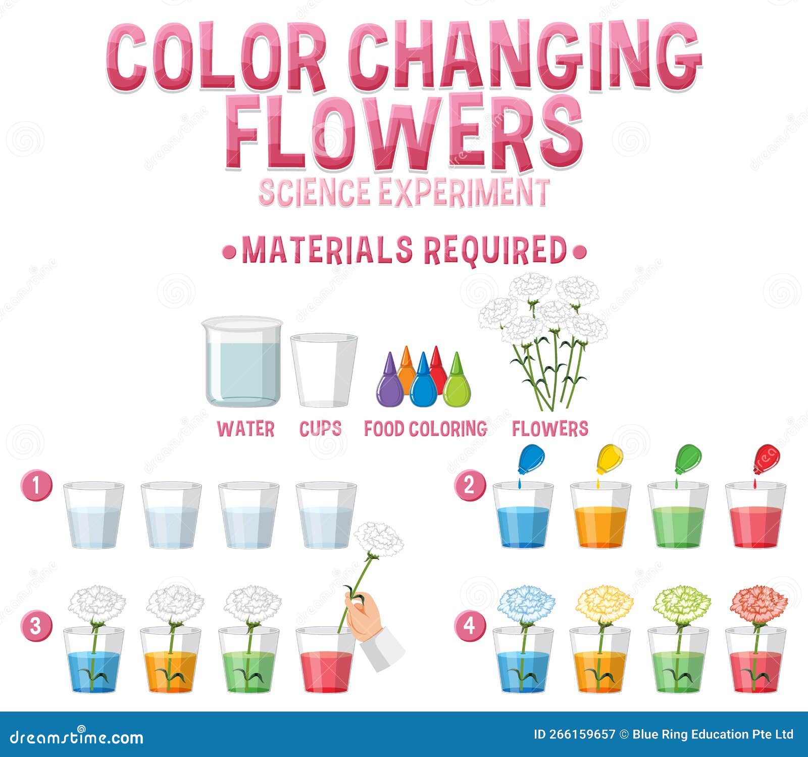 Color Changing Flowers Science Experiment Stock Vector - Illustration ...