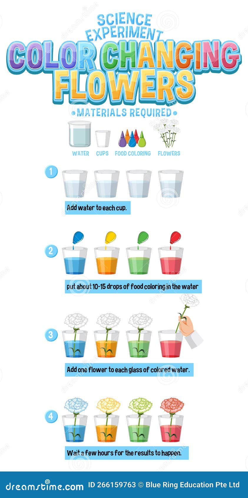 Color Changing Flowers Science Experiment Stock Vector - Illustration ...