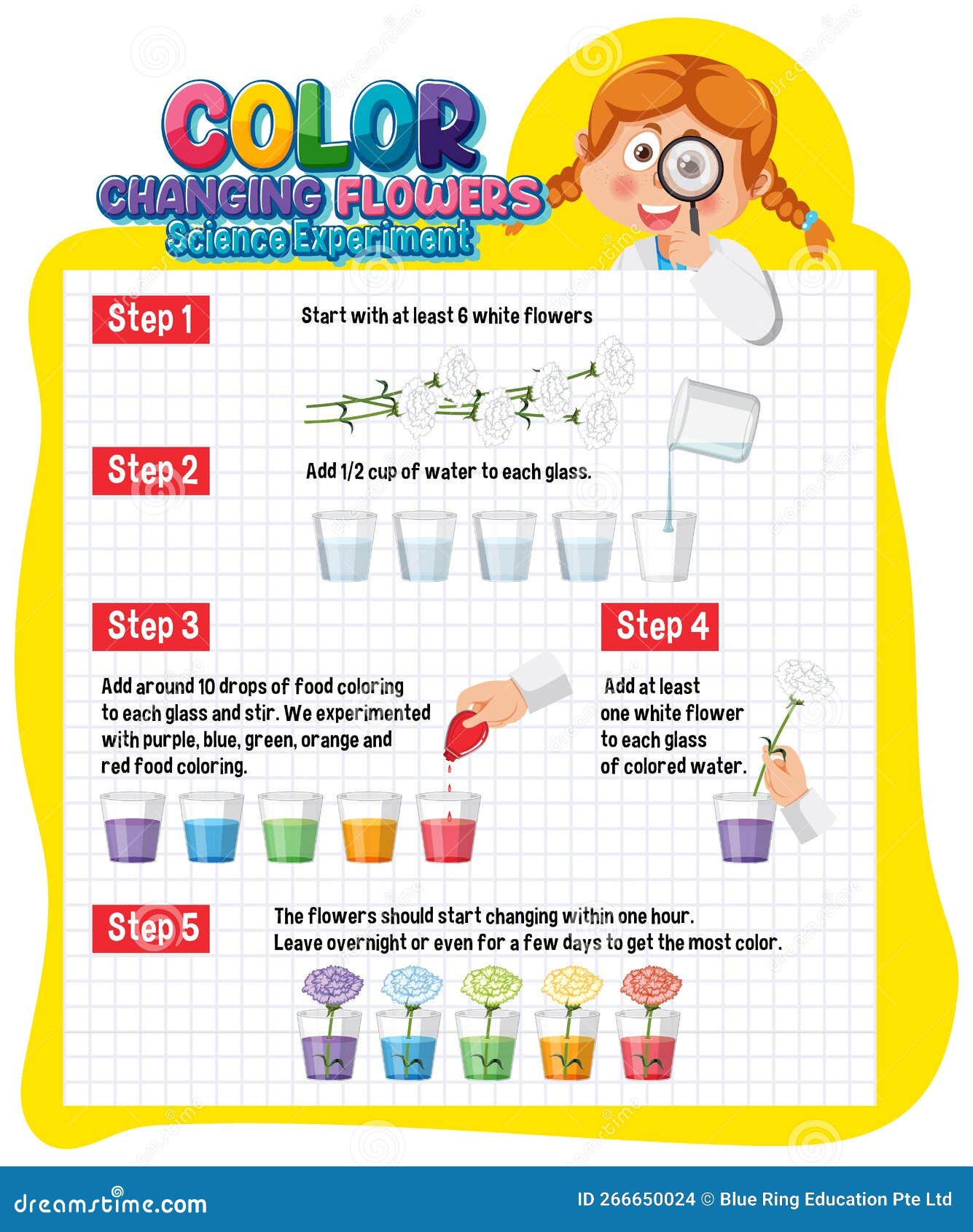 Color Changing Flowers Science Experiment Stock Vector - Illustration ...