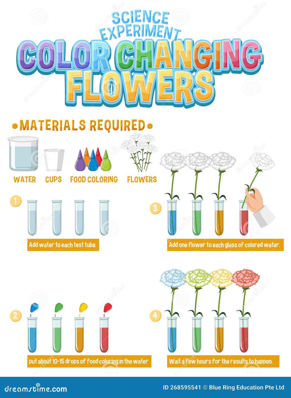 Color Changing Flowers Science Experiment Stock Vector - Illustration ...