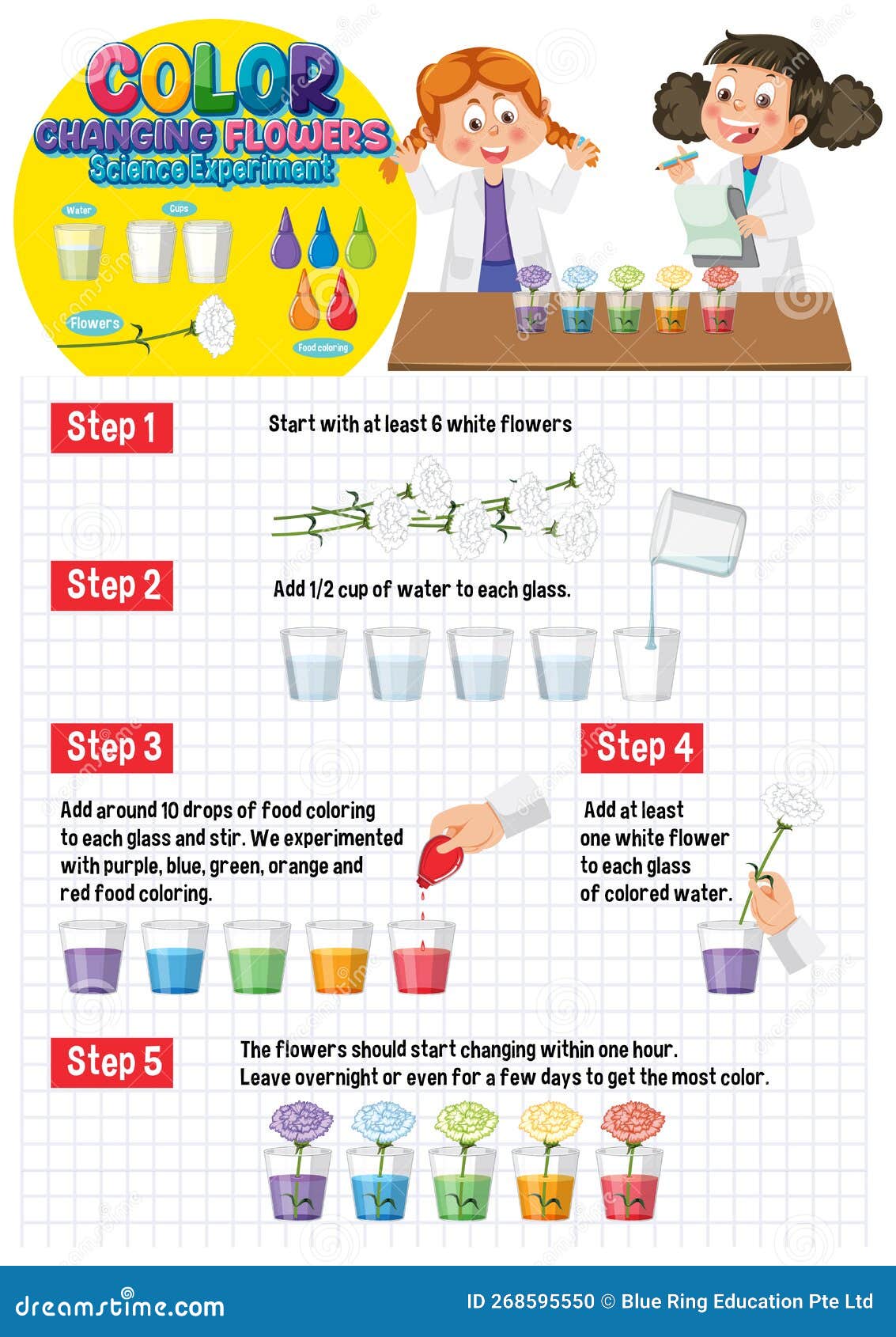 Color Changing Flowers Science Experiment Stock Vector - Illustration ...