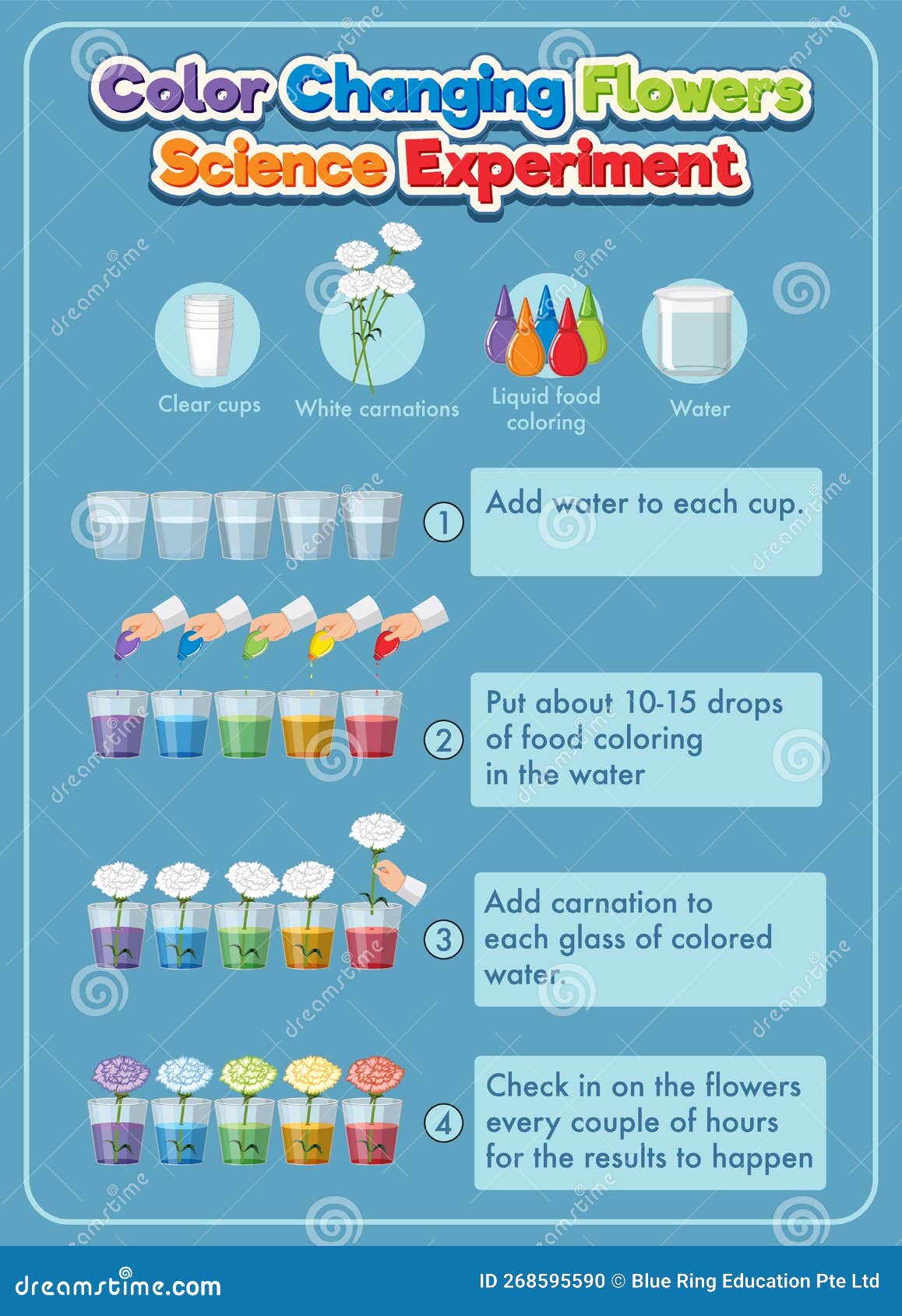 Color Changing Flowers Science Experiment Stock Vector - Illustration ...