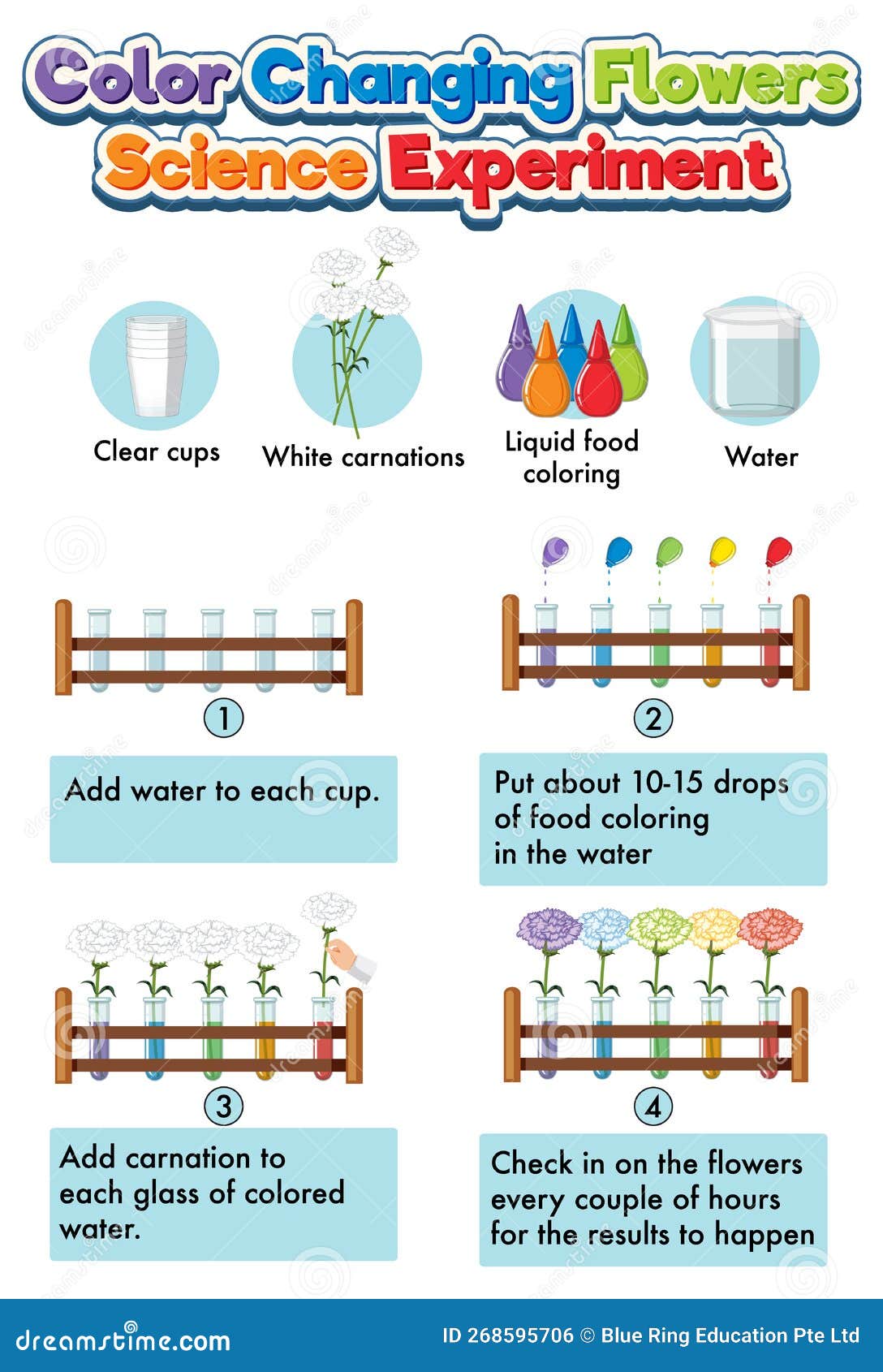 Color Changing Flowers Science Experiment Stock Vector - Illustration ...