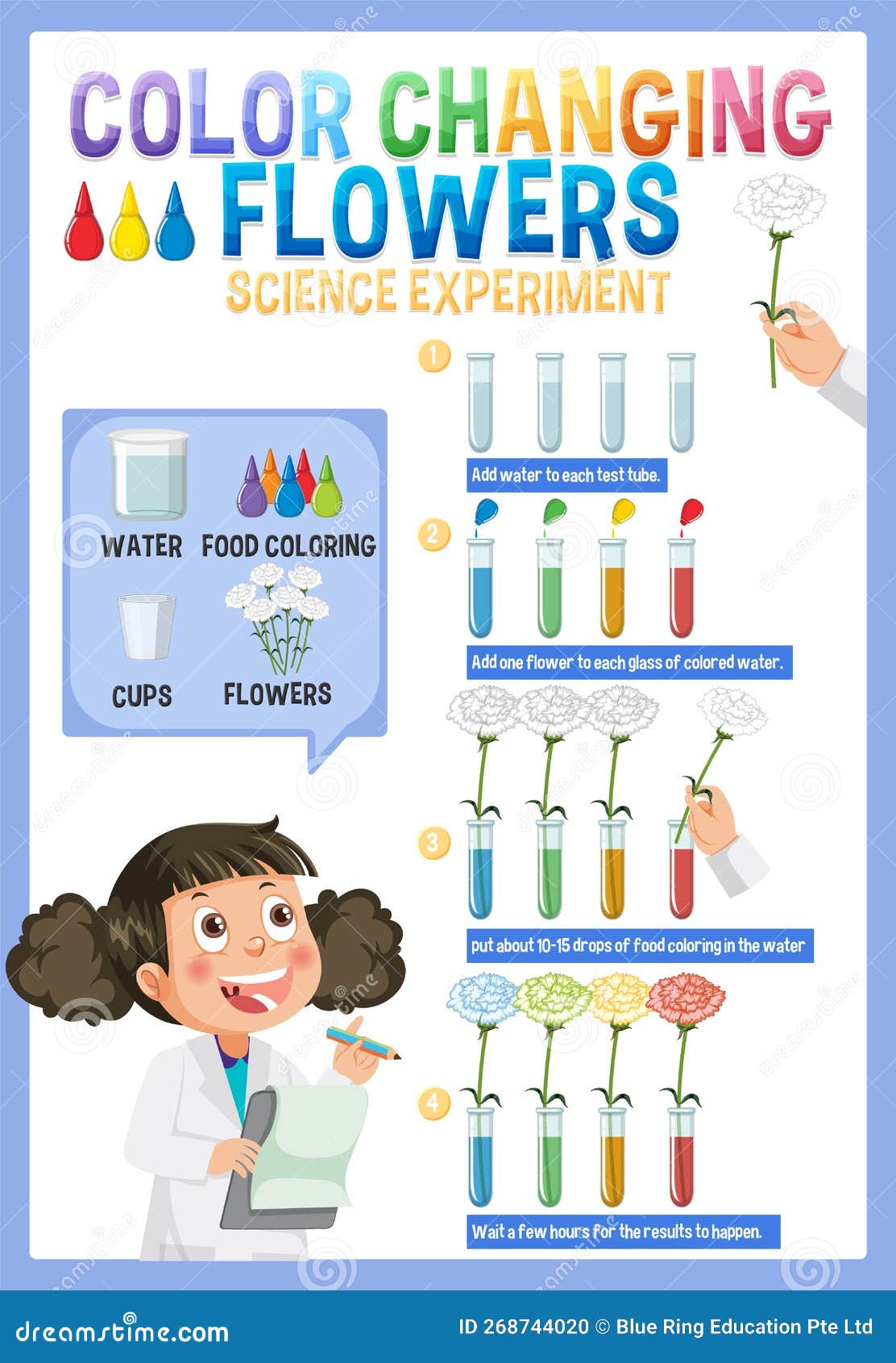 Color Changing Flowers Science Experiment Stock Vector - Illustration ...