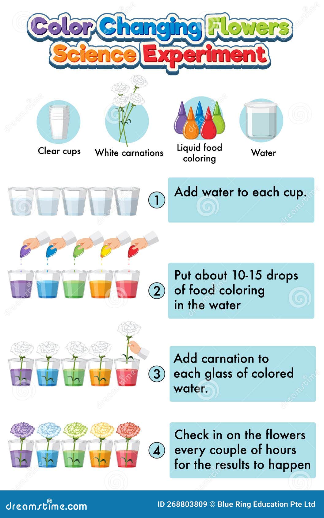 Color Changing Flowers Science Experiment Stock Vector - Illustration ...