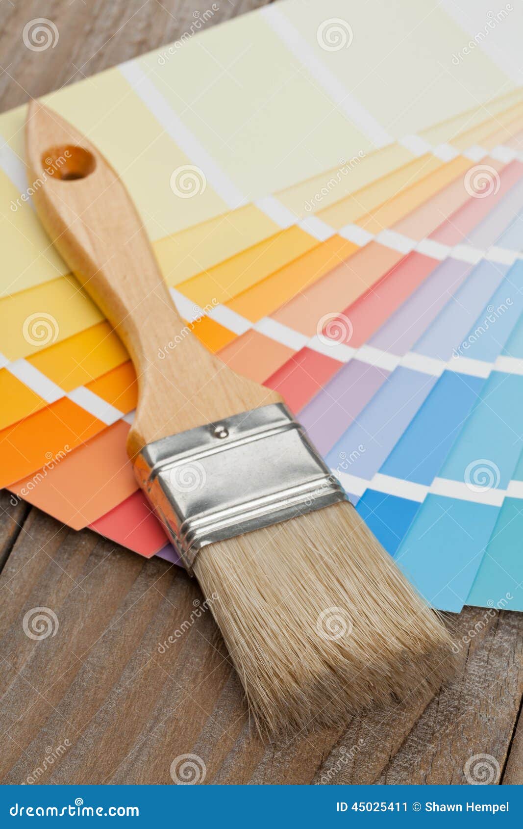 Color Chart Guide with Brush Stock Image - Image of choice, multi: 45025411
