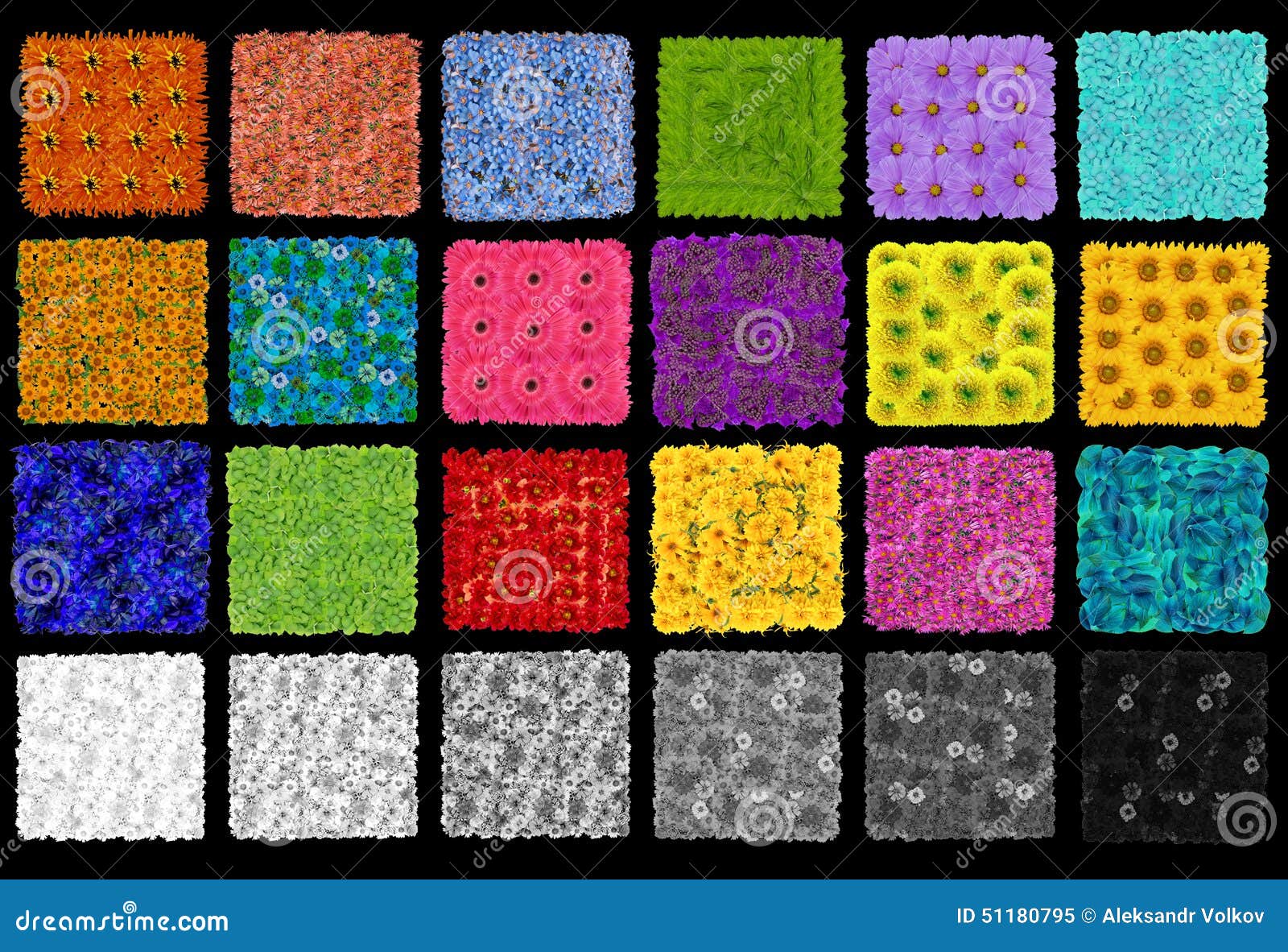 Color checker from flowers stock image. Image of checker - 51180795