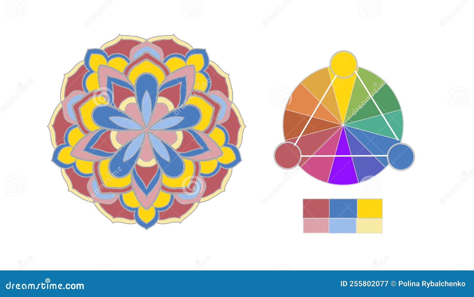 Color Circle, Circle with Segments Rainbow Color Mandala Pattern ...