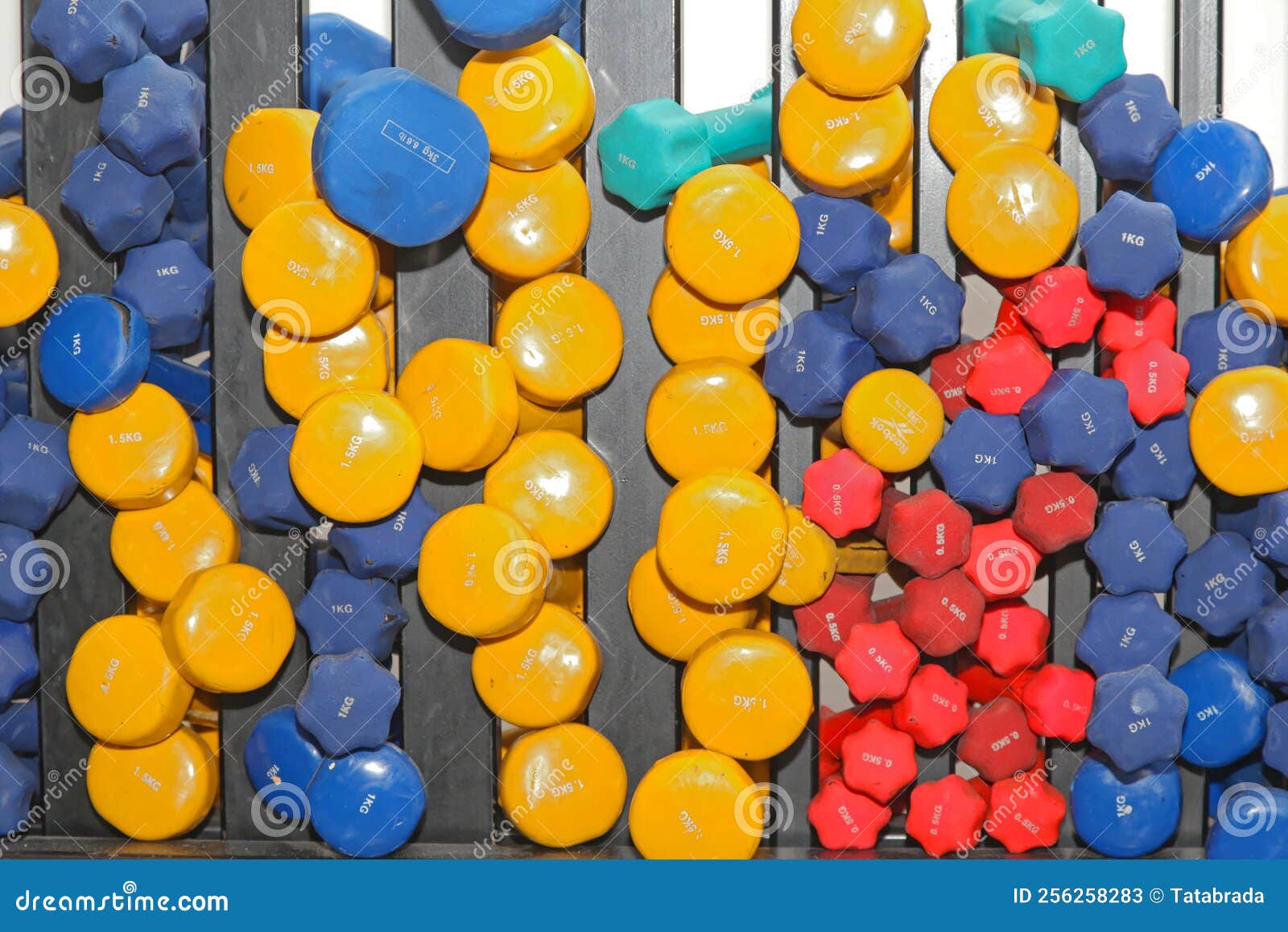 Color coded weights stock image. Image of fitness, weights - 256258283
